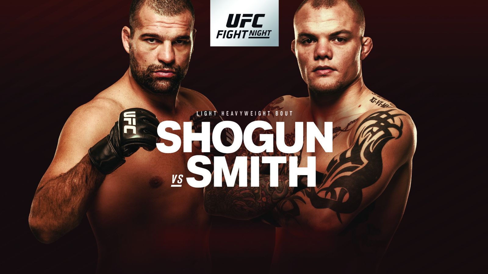 UFC Fight Night, Hamburg (Njemačka)