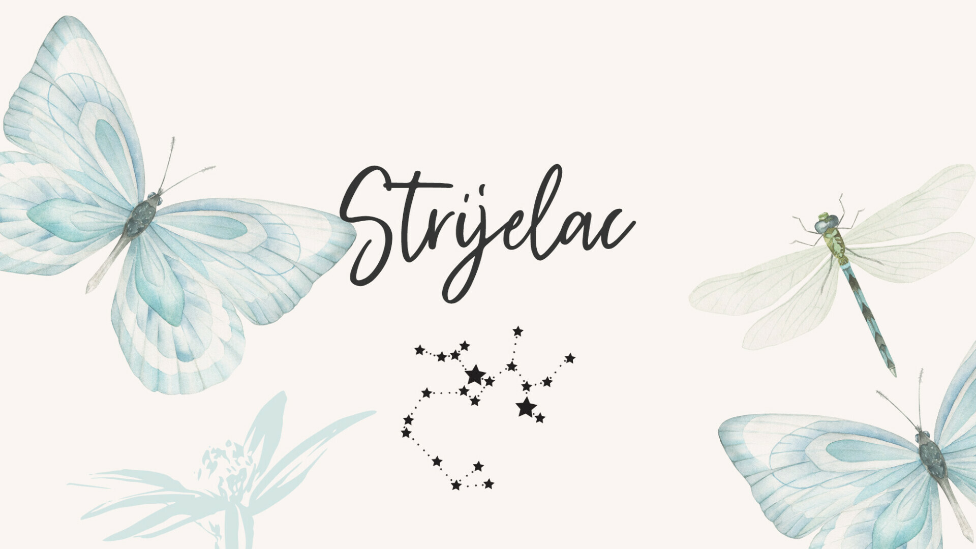 Strijelac: Horoskop za svibanj