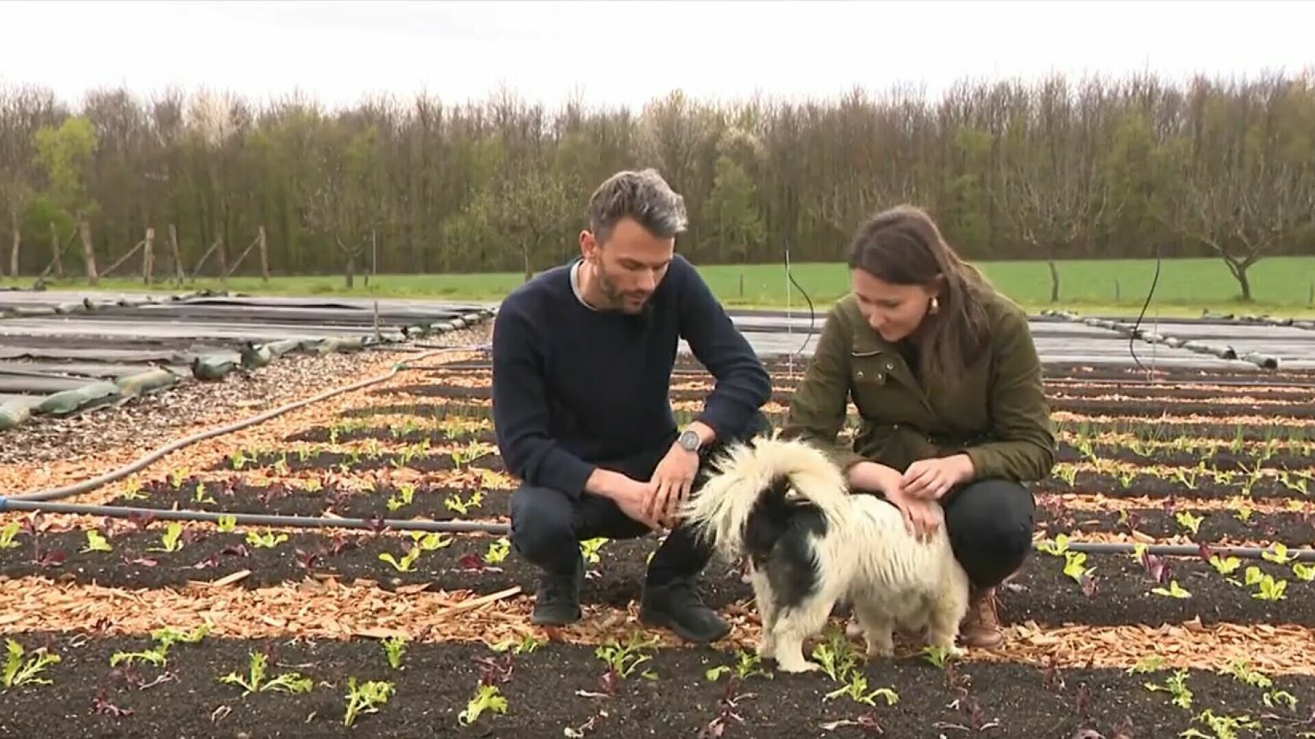 David Pejić izabrao je poljoprivredu i nije požalio: "U pozadini mog ...