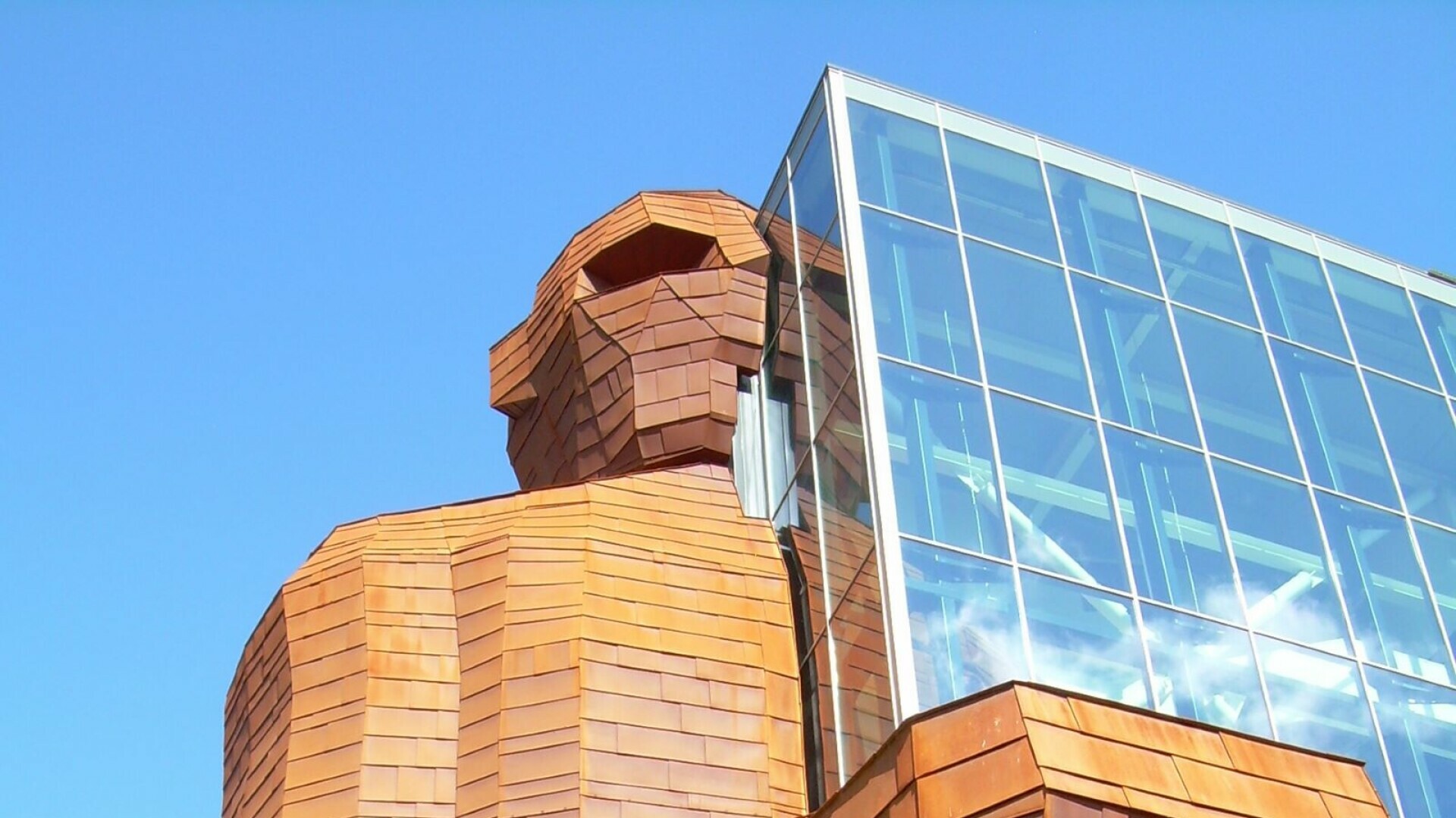 Muzej od krvi i mesa: 55 minuta za uzbudljivo putovanje ljudskim tijelom