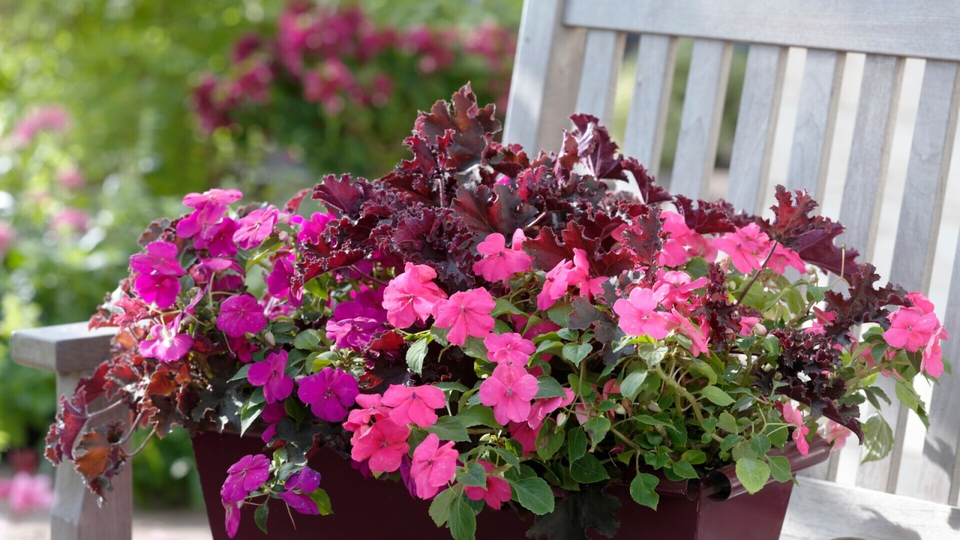 Balkon joj je najdraži dio doma, a ova ljepotica cvjetat će vam čak i ...