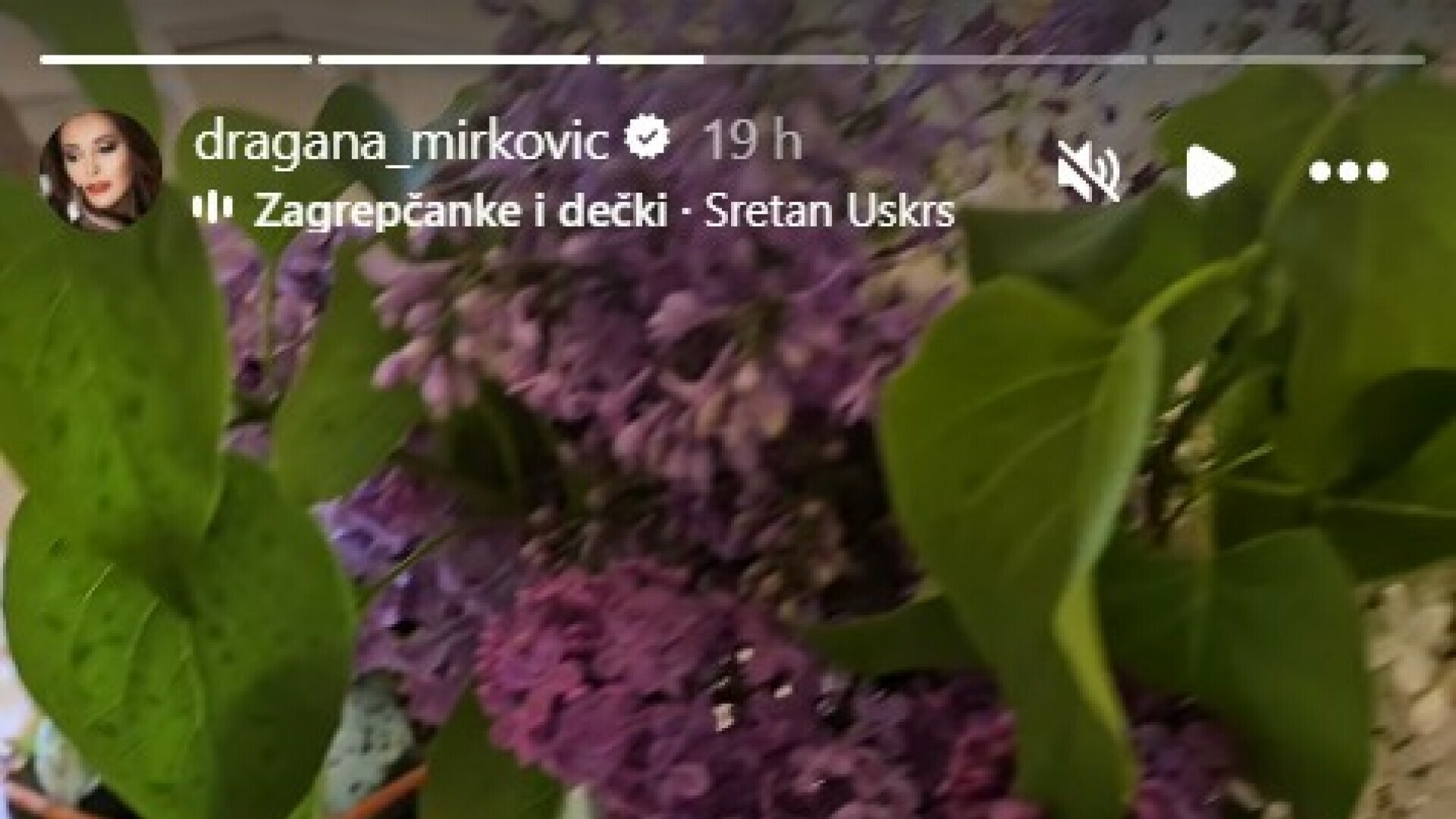 Dragana Mirković pokazala kako je ukrasila svoj velebni dvorac za blagdane!