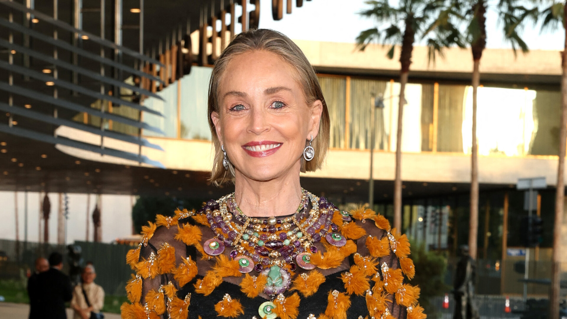 Ma kakav minimalizam! Izdanje Sharon Stone koje se smije onoj poznatoj ...