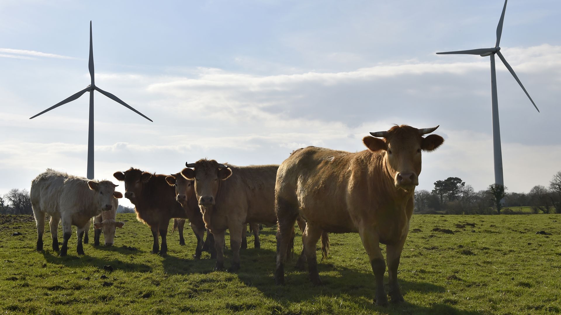 Policija na Floridi u potjeri dobila neočekivanu pomoć: Za bjegunkom ...