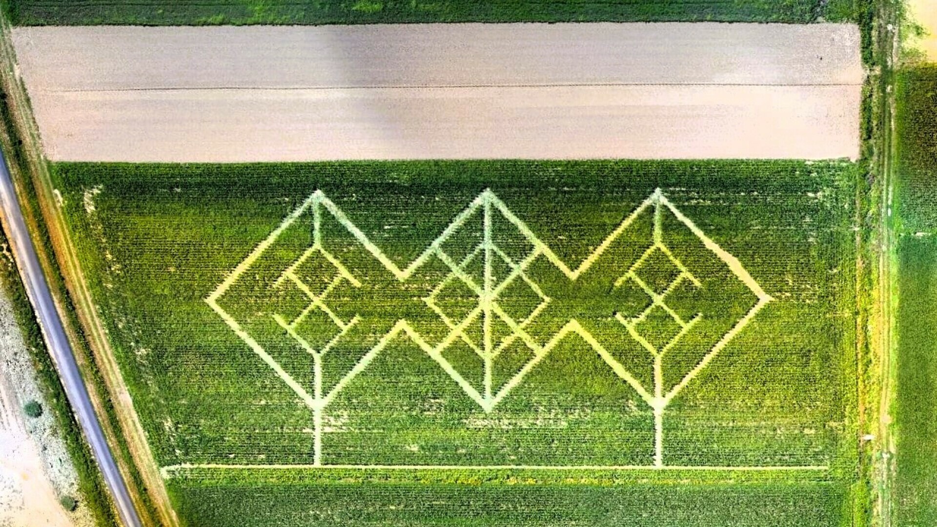 Kukuruzni labirint kod Ivanić-Grada