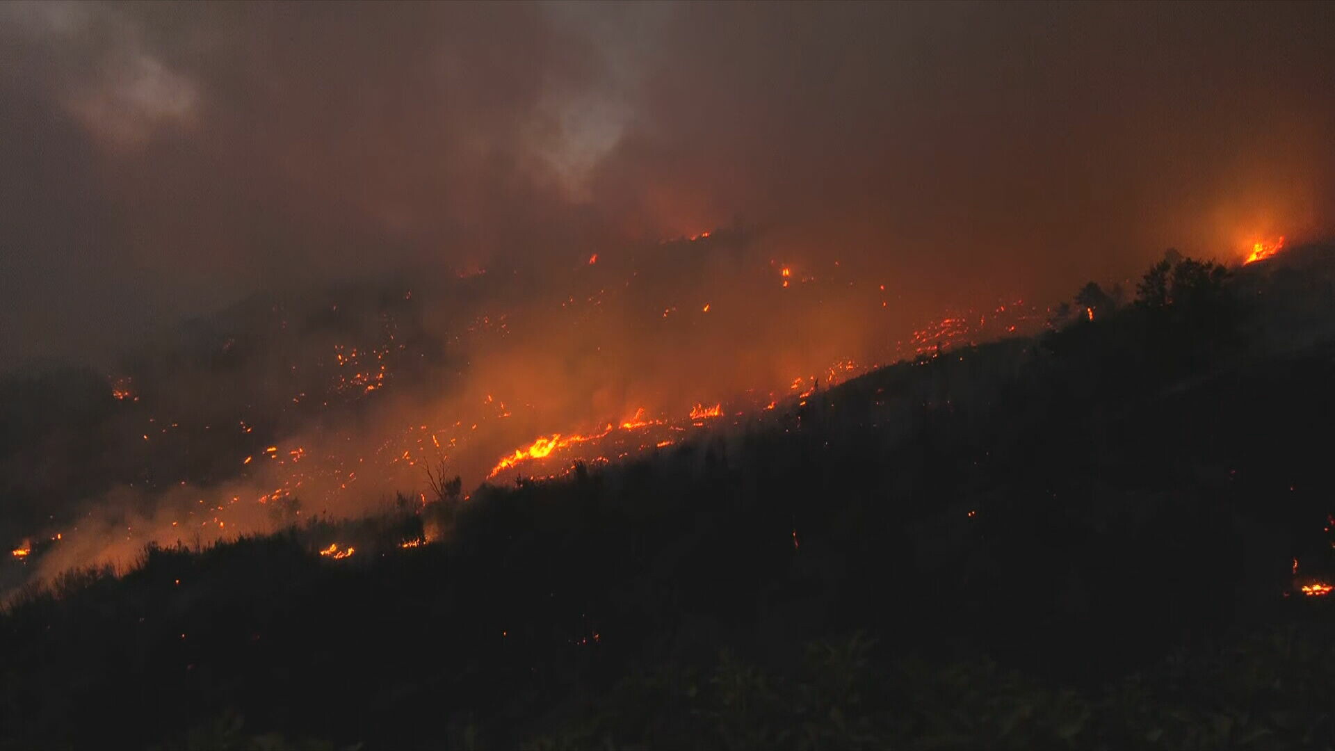 Kazne za pokretanje požara u Hrvatskoj su premalene: S time se slažu ...