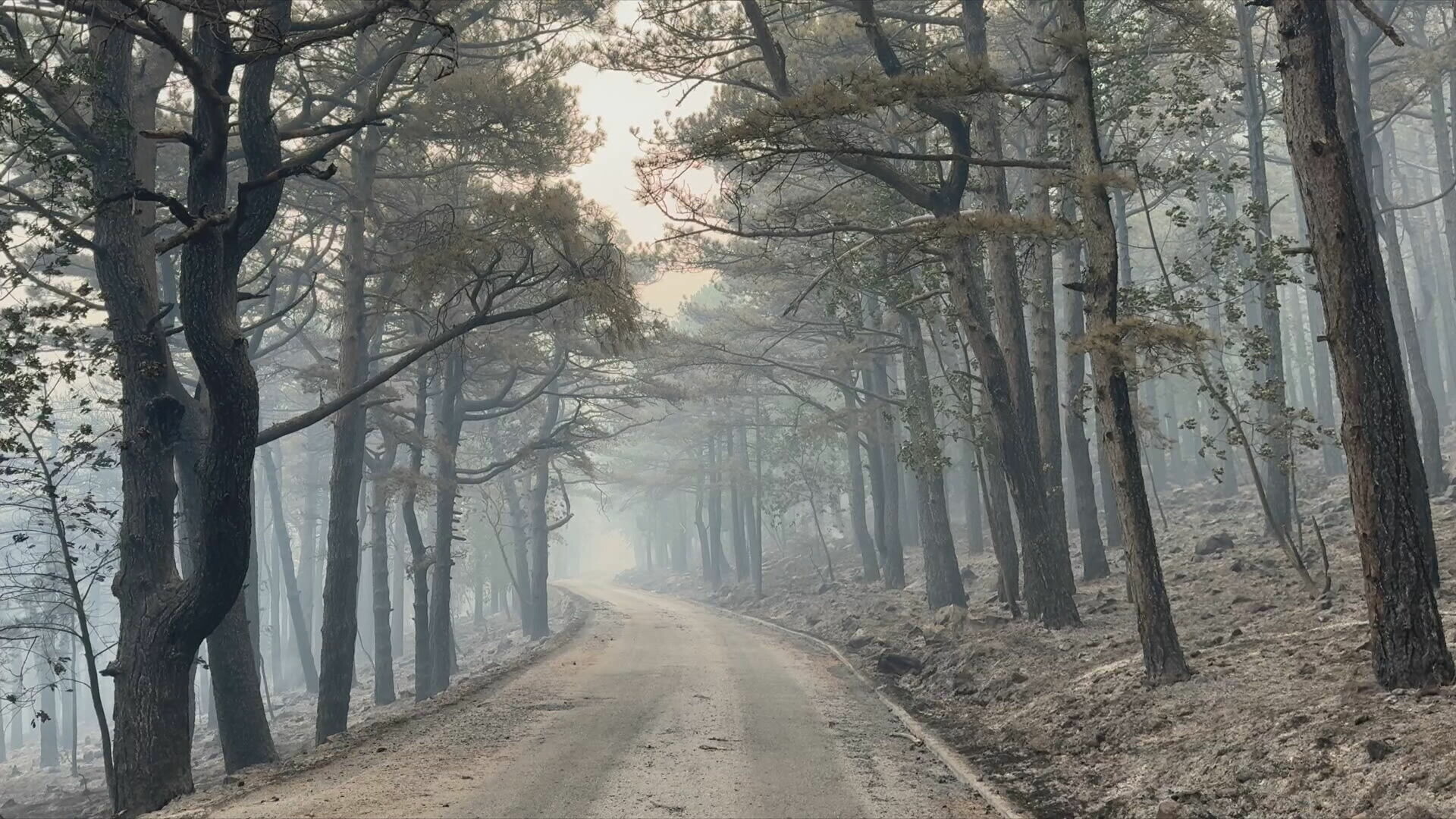 FOTO/VIDEO I dalje gori u PP Biokovo: "Stanje nije dobro, gori u planini, vatrogasci sada ne ...