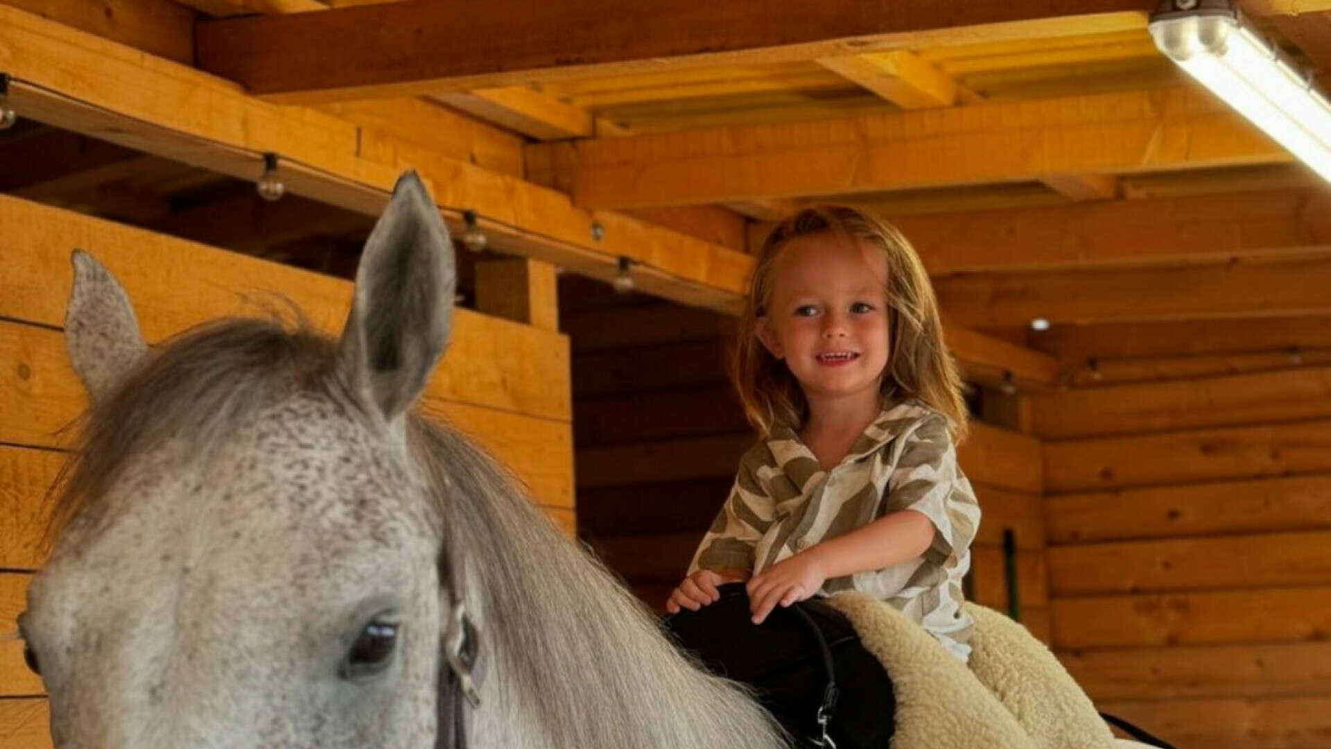 "Budući alkar": Morate vidjeti kako Bloom k'o veliki jaše velikog konja ...