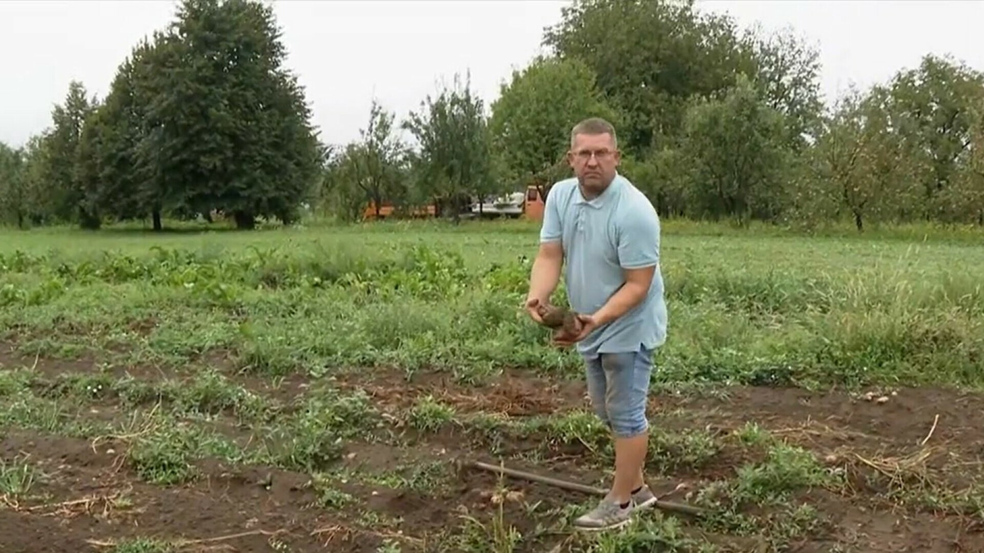 Od jela za sirotinju do luksuza i natrag: Bogat urod prepolovio je ...