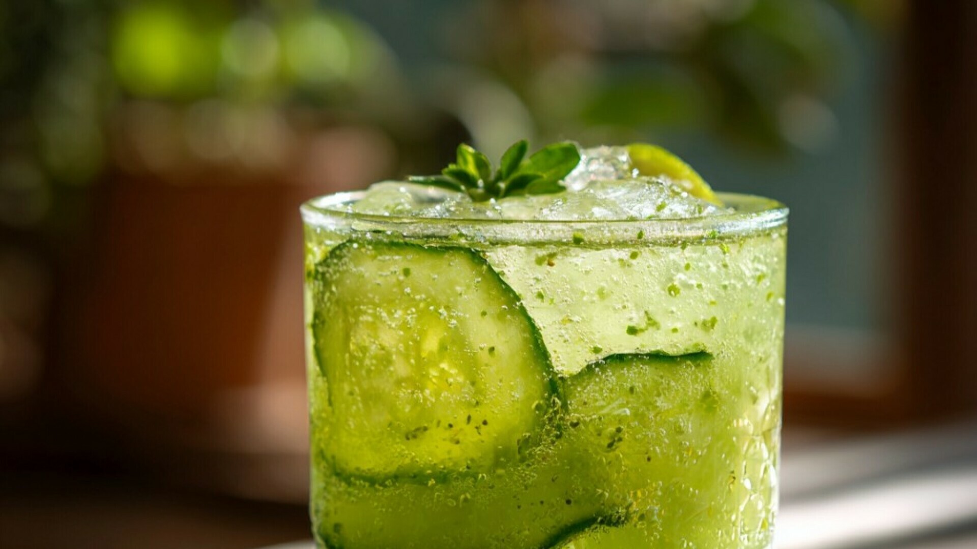 Penicilin za ljetne vrućine: Znate li zašto Meksikanci dodaju krastavac ...