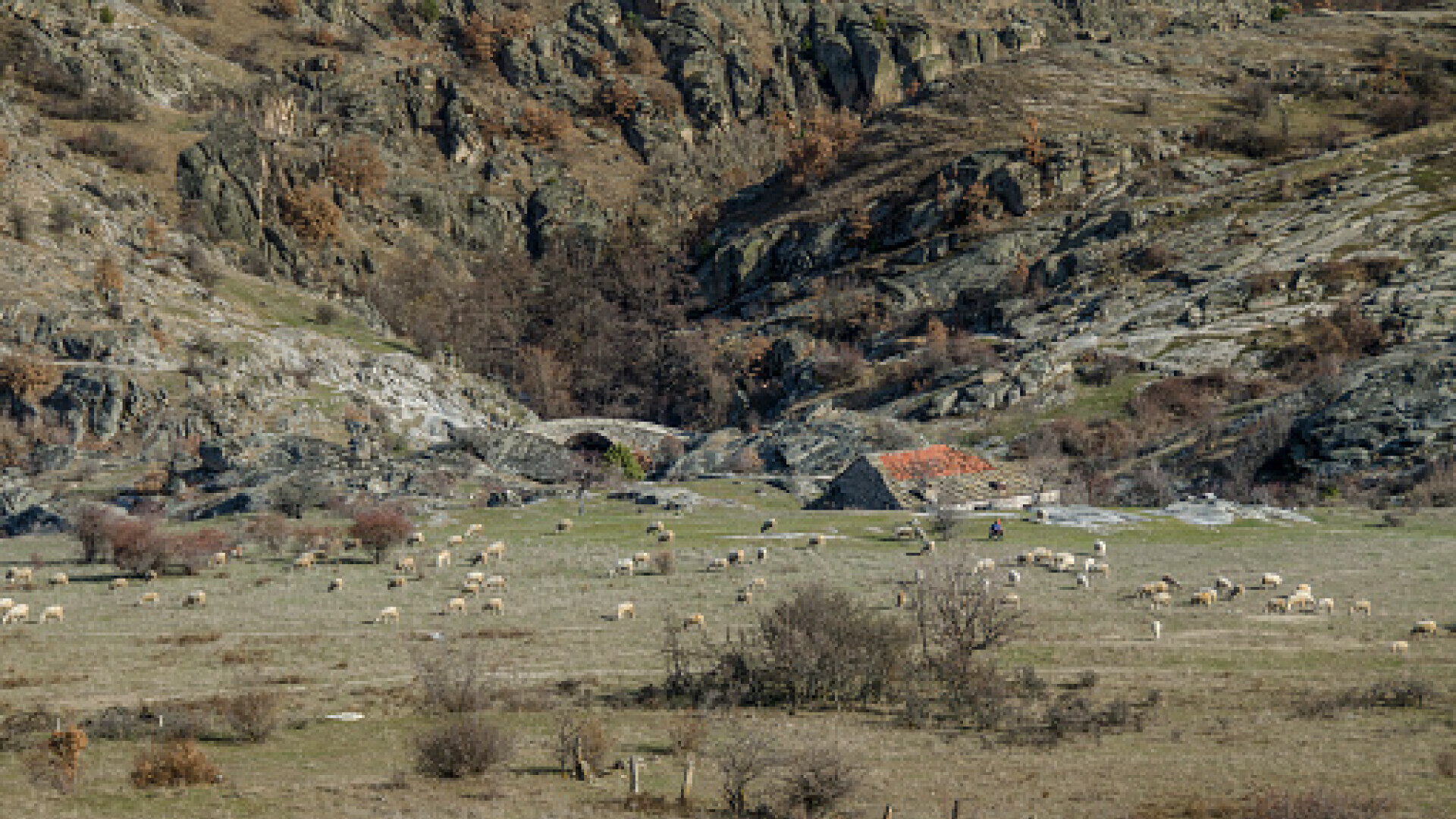 Tri tijela pronađena u improviziranoj džamiji, među njima i dijete
