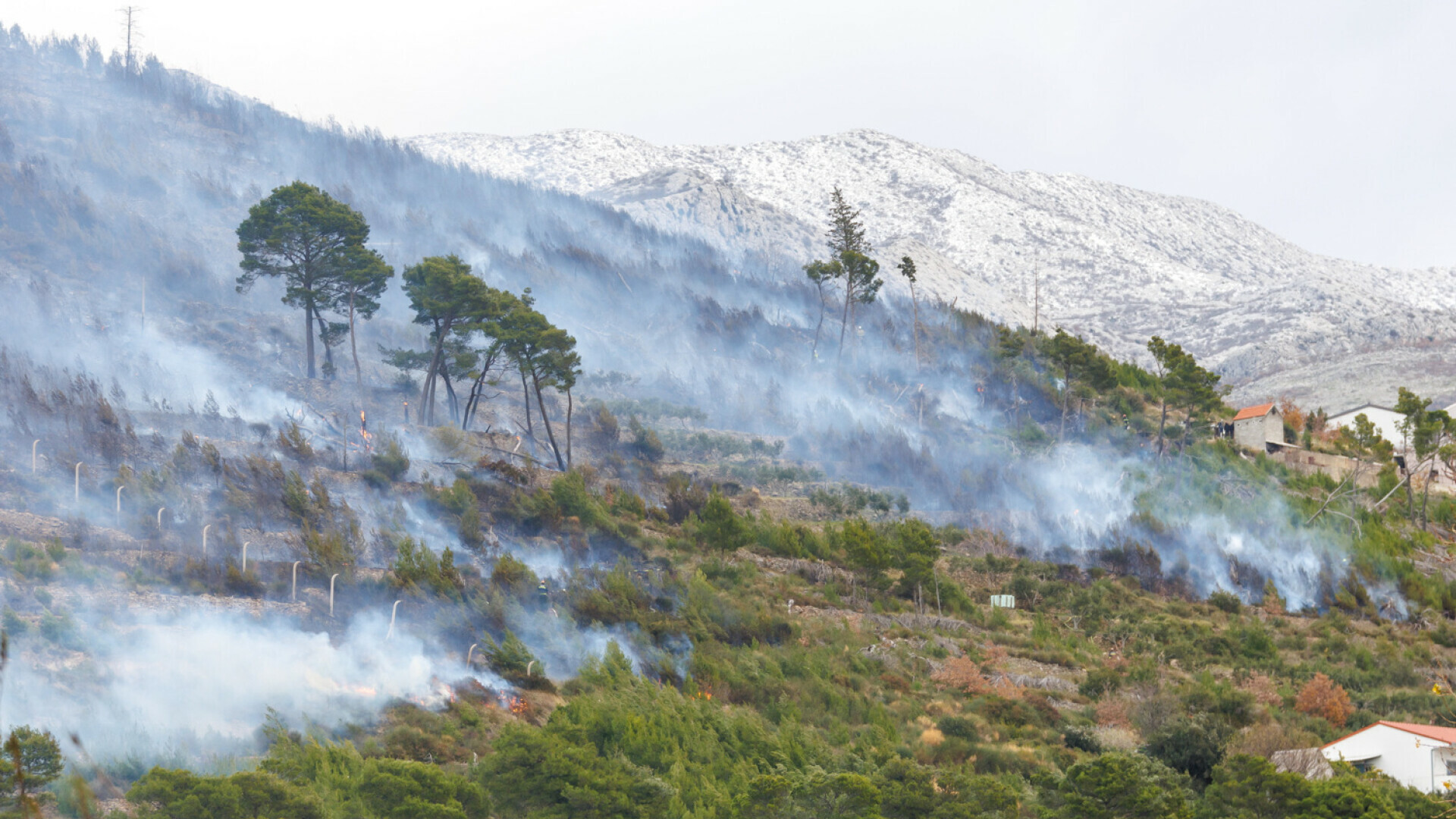 FOTO Požar pod nadzorom, gorjelo je blizu kuća: "Ovo je opasno!"