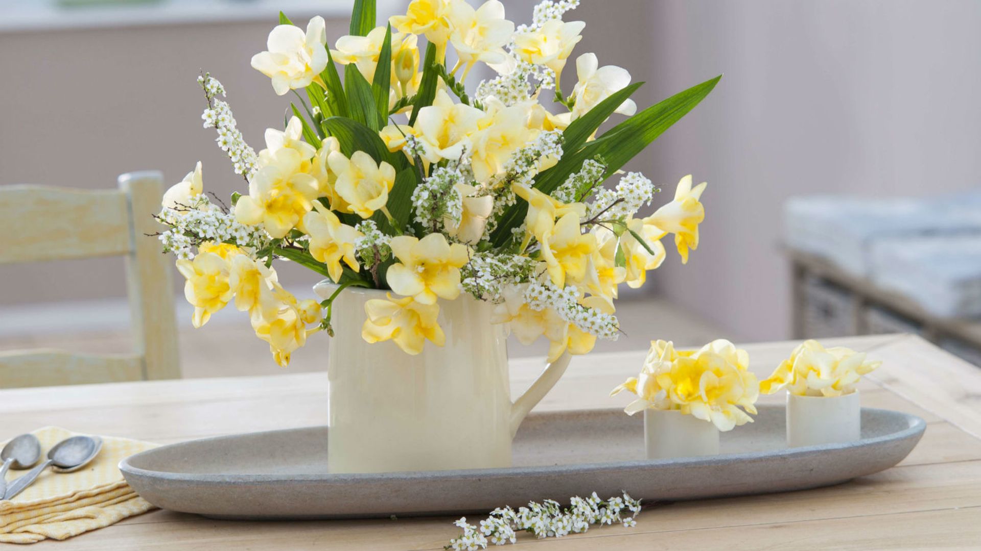 Slatkica frezija: Cvijet koji u vazi dugo izgleda svježe i ljupko