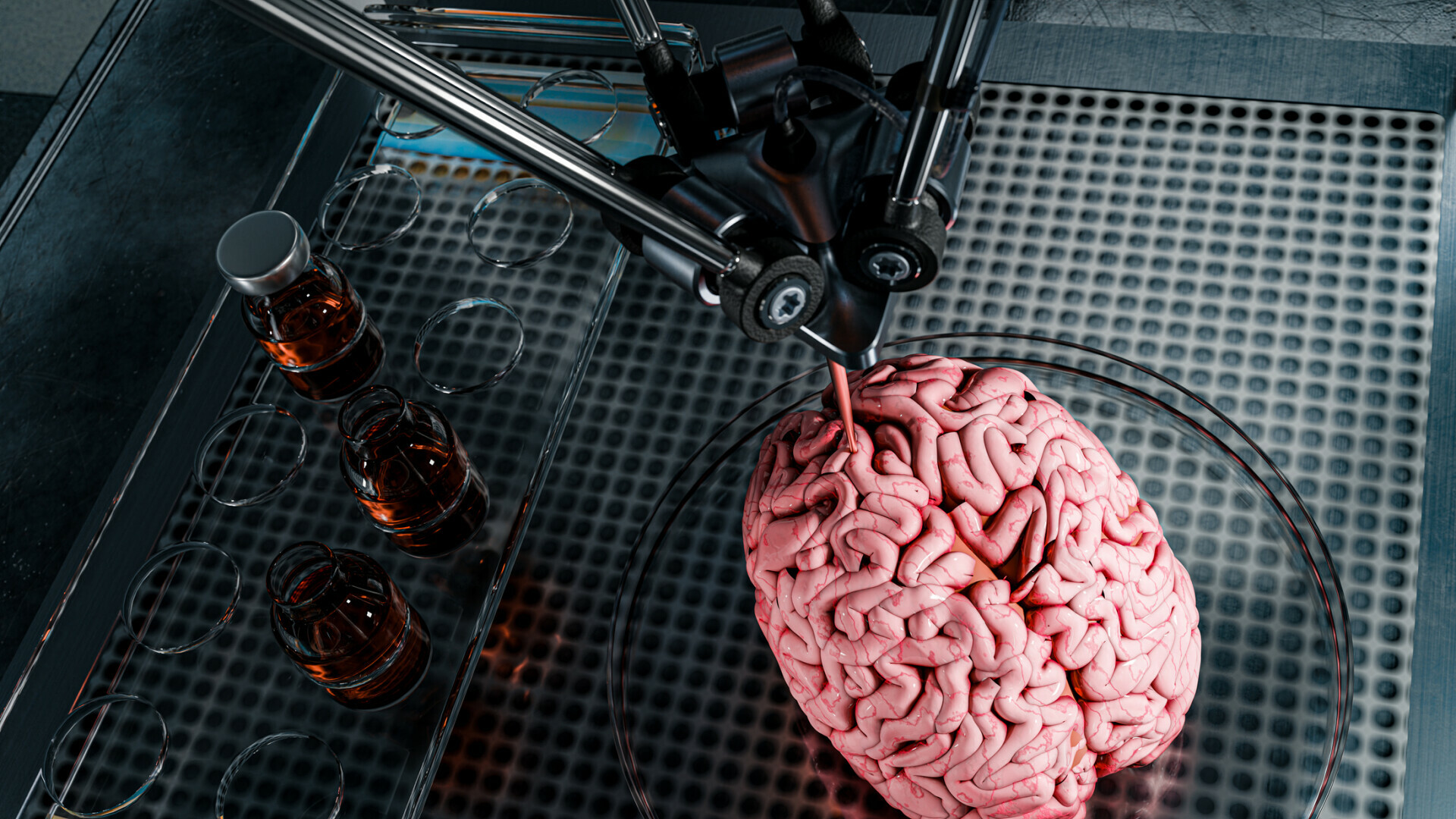 Hrvatski znanstvenici pomiču granice: Pokazali su da je moguće oživjeti ljudski mozak nakon smrti