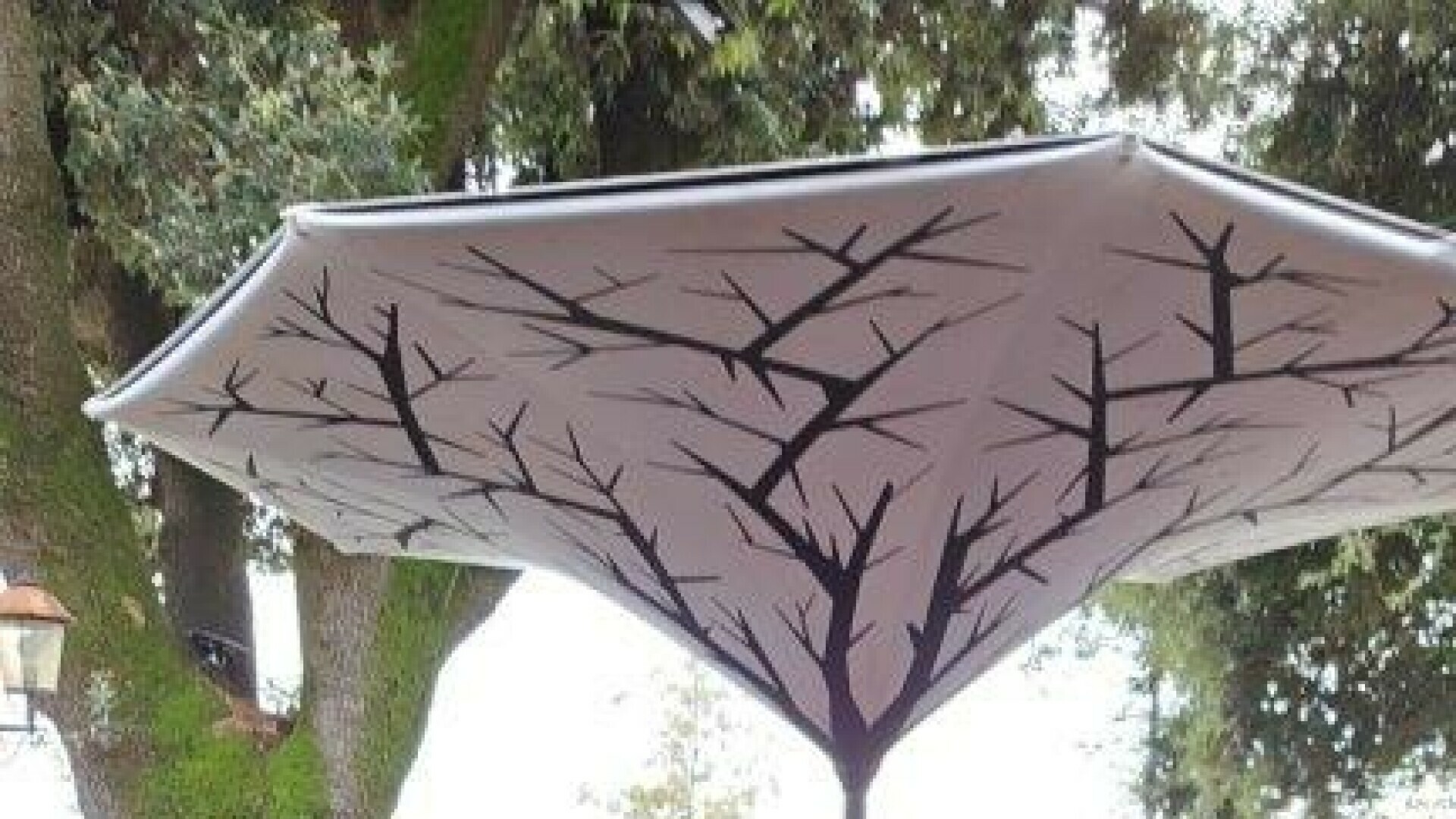 Zgodnom vaterpolistu iz Osijeka ispunio se dječački san: "Jako sam ...