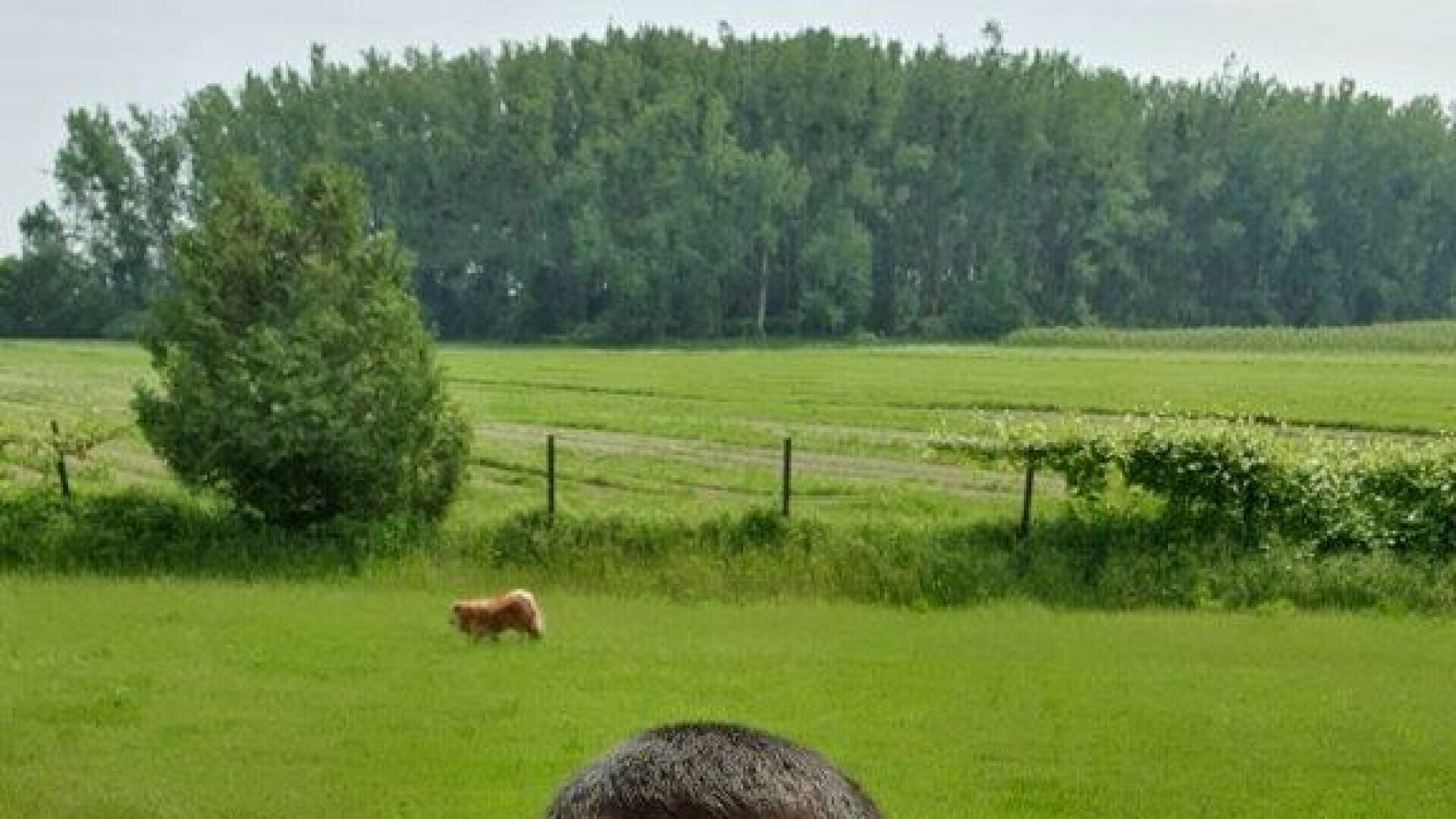 Zgodnom vaterpolistu iz Osijeka ispunio se dječački san: "Jako sam ...