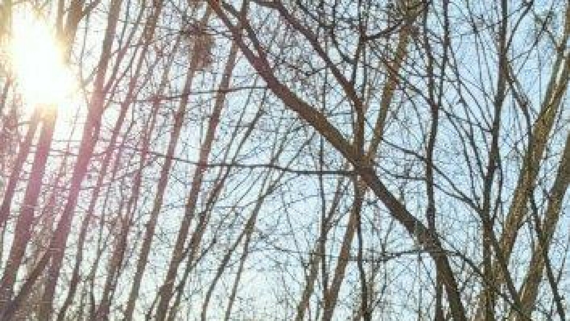 Zgodnom vaterpolistu iz Osijeka ispunio se dječački san: "Jako sam ...