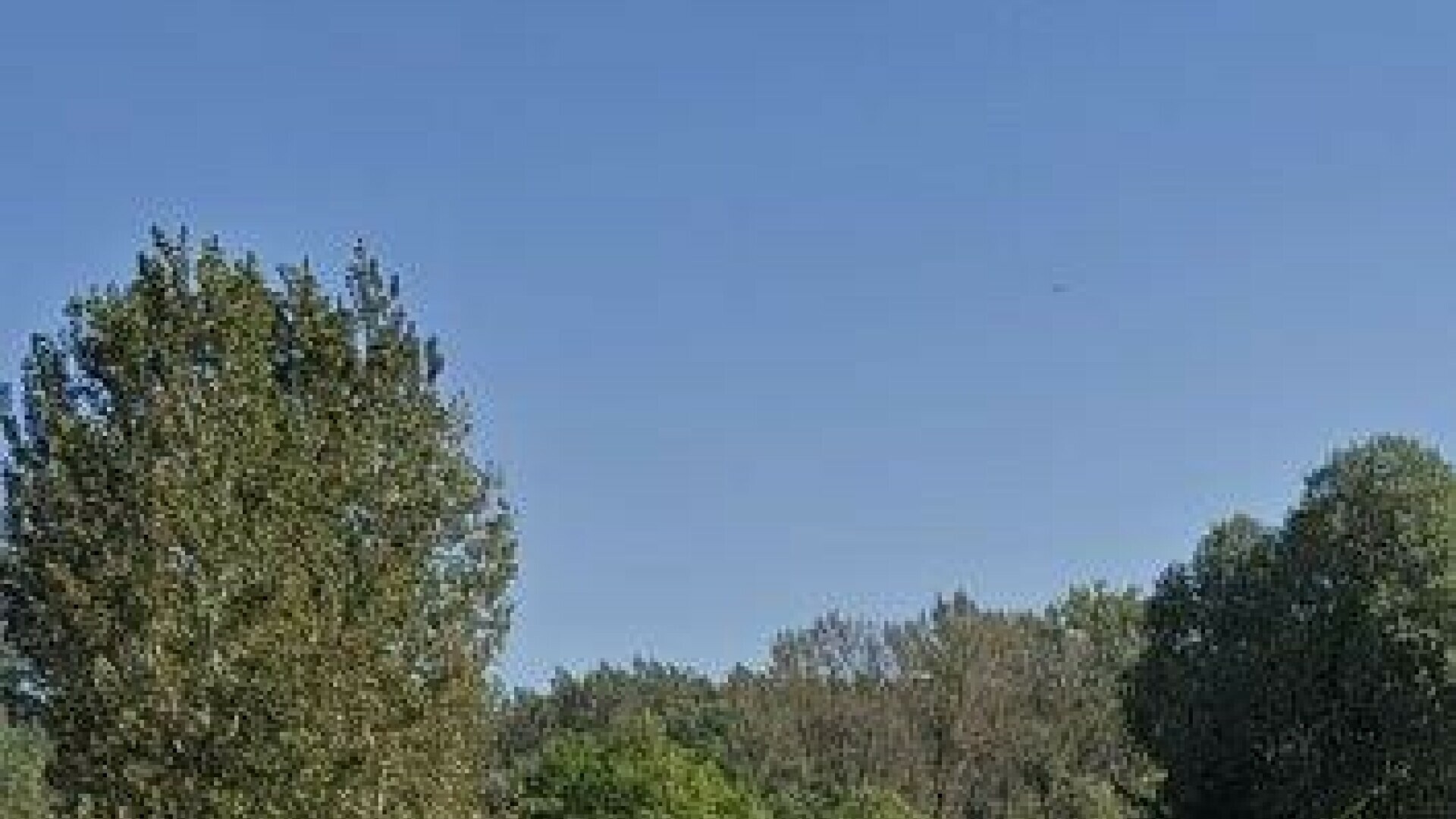 Zgodnom vaterpolistu iz Osijeka ispunio se dječački san: "Jako sam ...