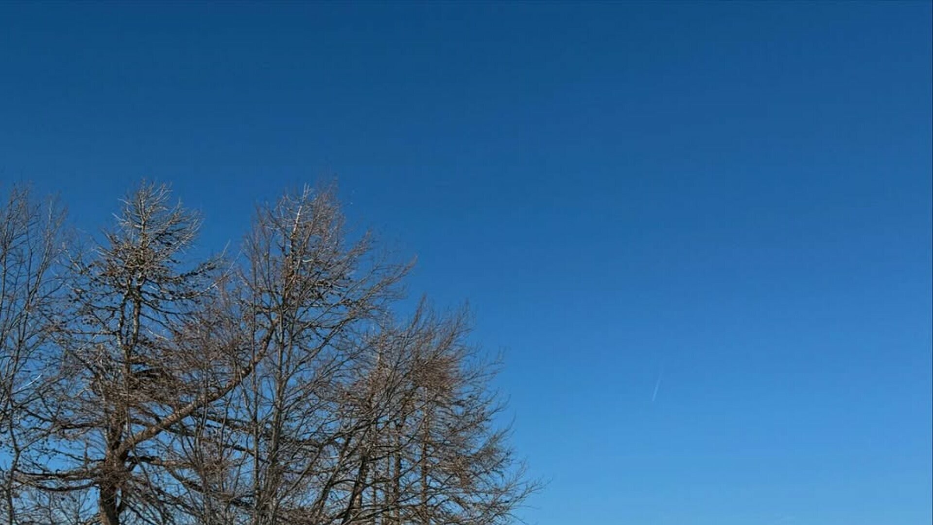 Tko je zgodni zaručnik Lane Radeljak kojega smo gledali u MasterChefu?