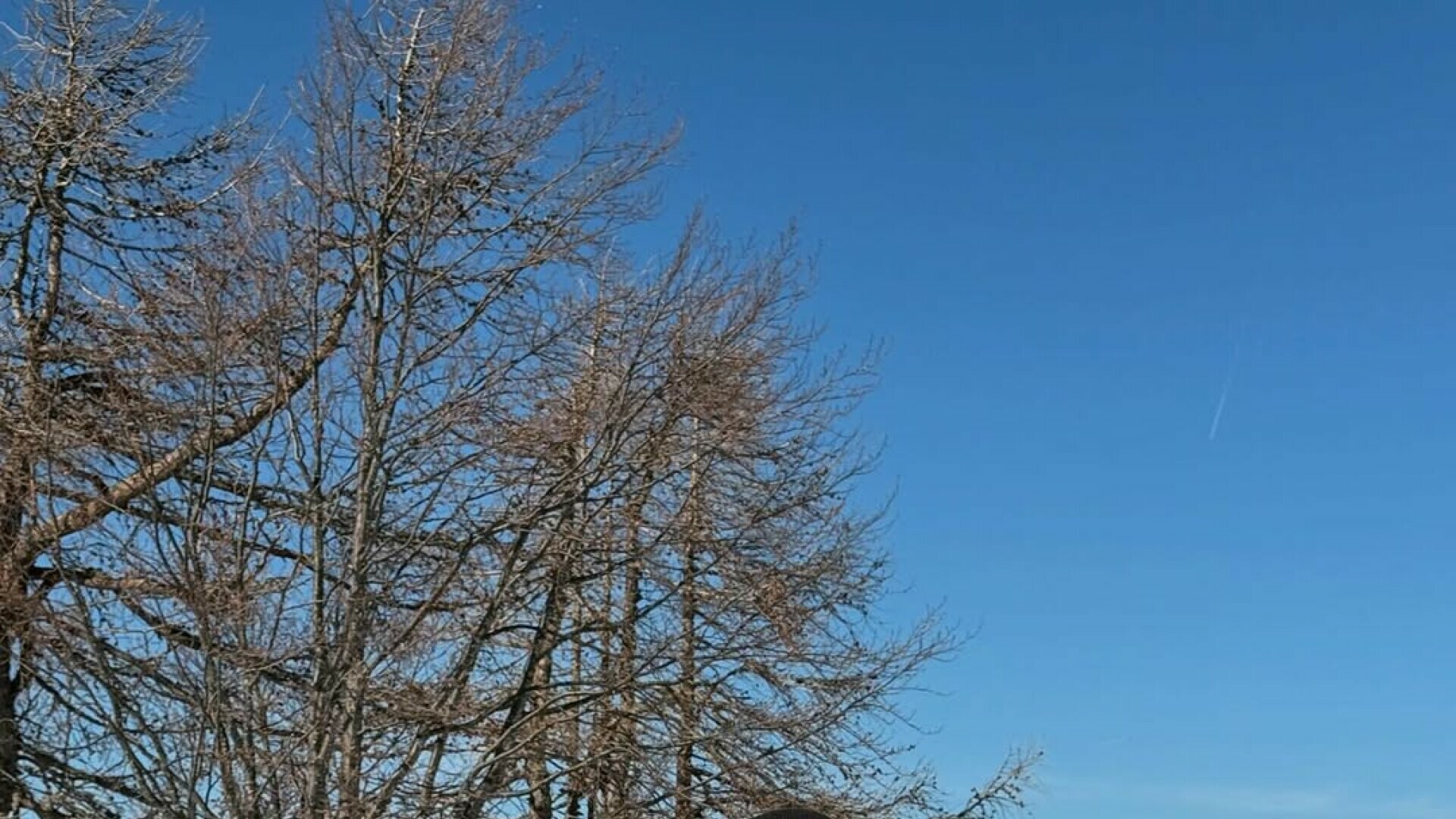 Tko je zgodni zaručnik Lane Radeljak kojega smo gledali u MasterChefu?