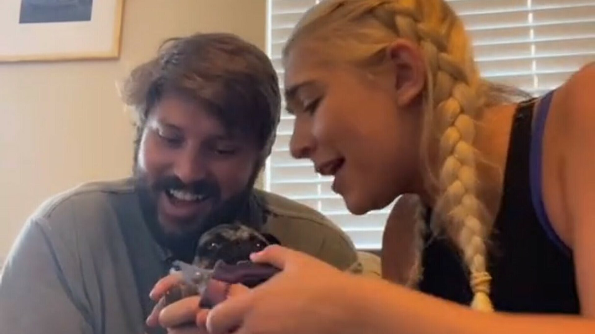 Vrisak od kojeg se ledi krv u žilama: Njihov psić ne voli rezanje ...