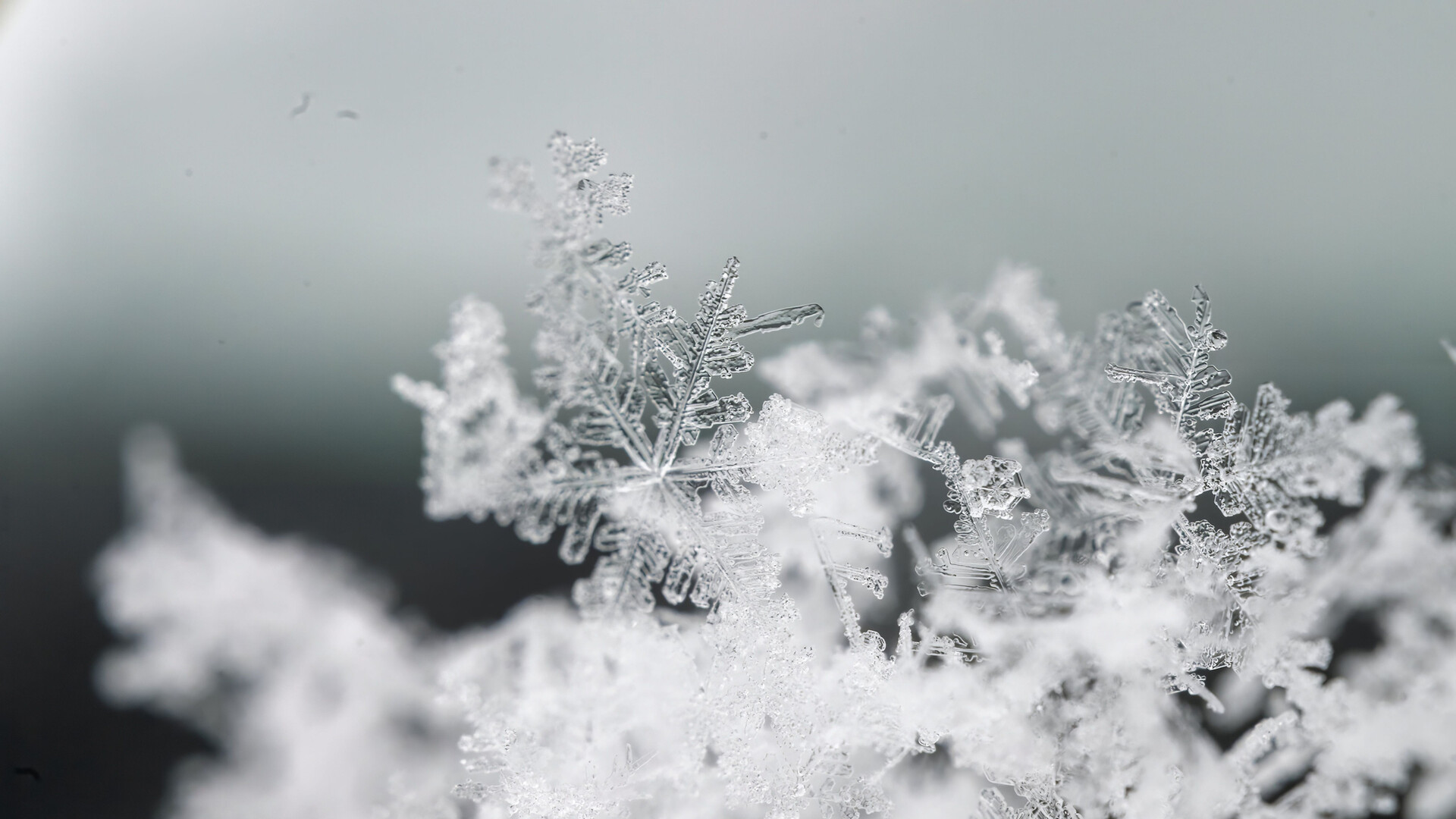 Znate li što je zapravo snijeg, kako nastaje i koliko velika snježna ...