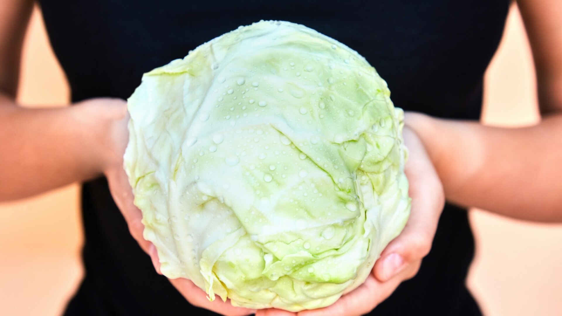 Kako oprati svježi kupus?