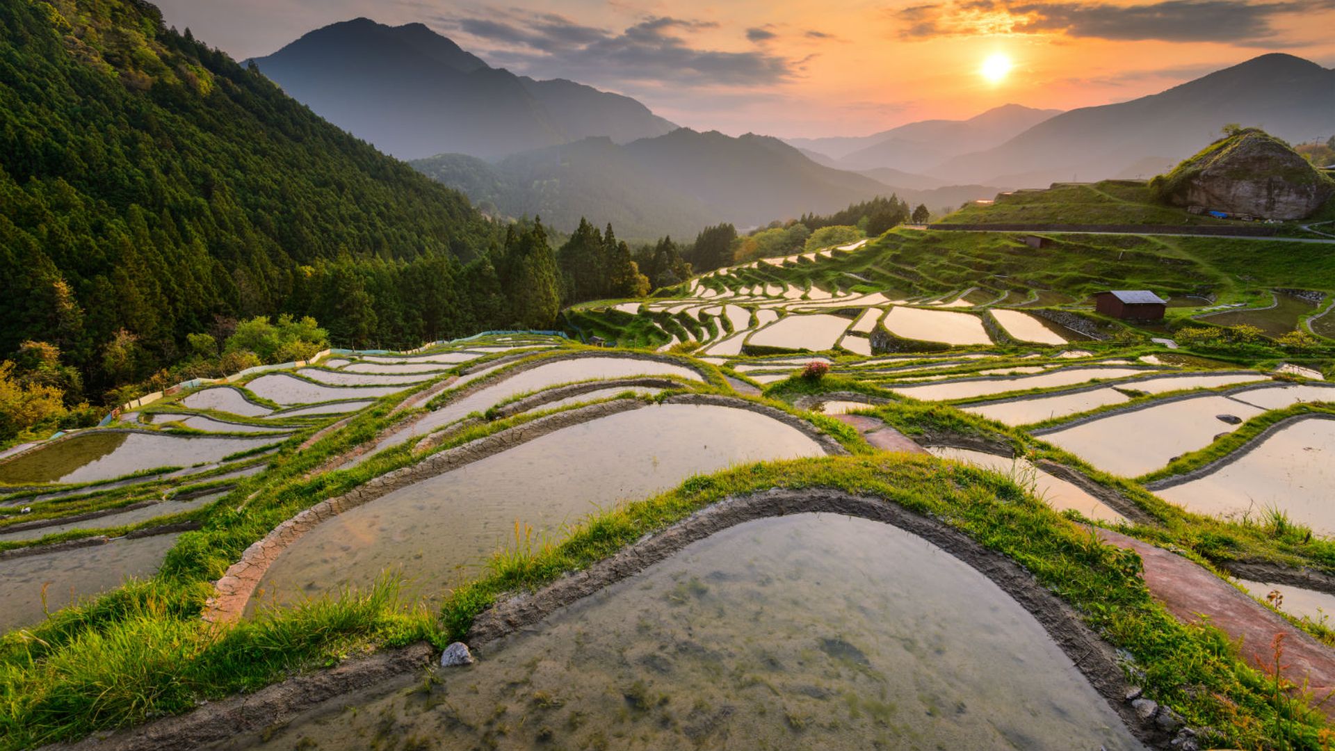 7 neobičnih stvari koje su posve normalne u Zemlji Izlazećeg Sunca