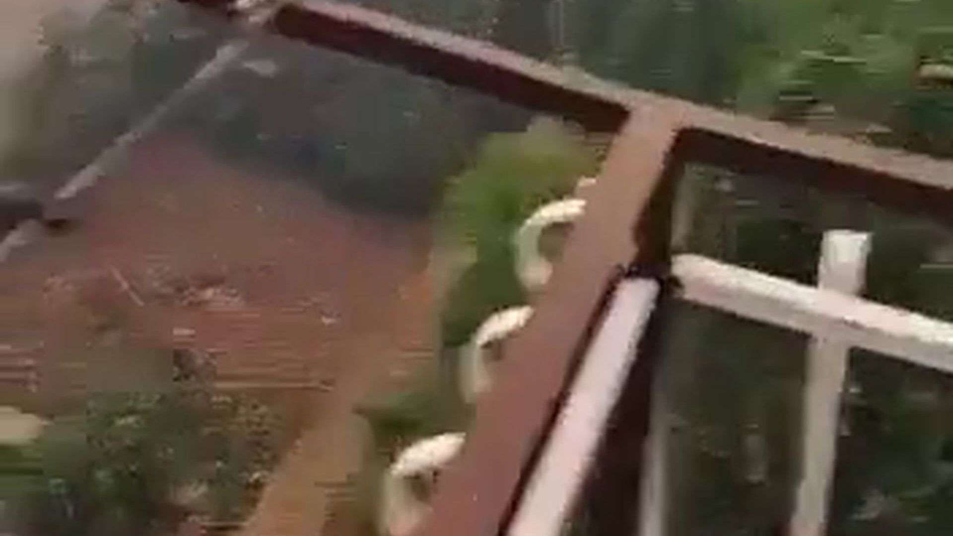 Požar stigao do Zatona blizu kuća