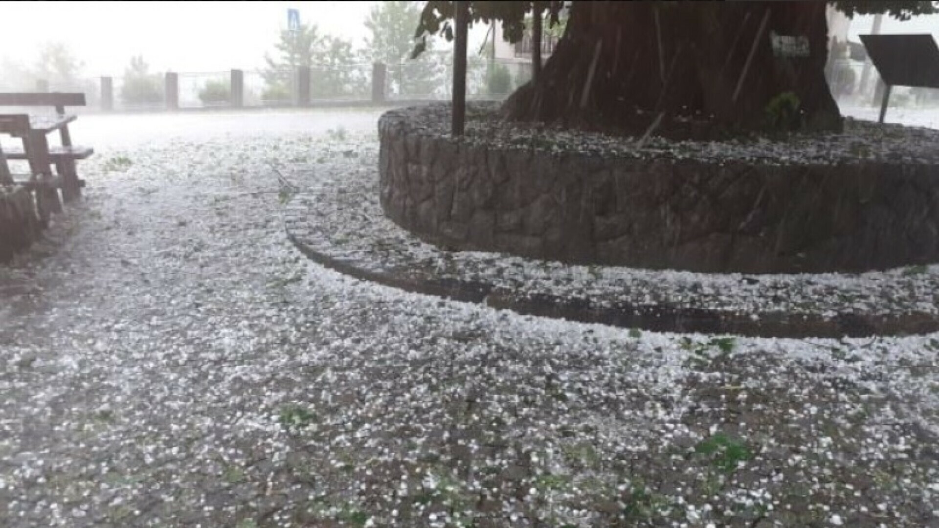VIDEO Snažno nevrijeme poharalo kontinentalnu Hrvatsku: Vjetar lomio ...