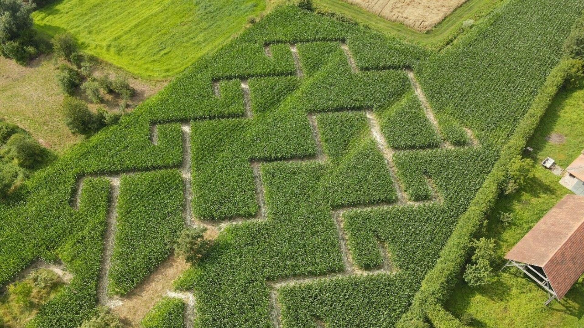 Super ideja za izlet na selo: Izgubite se u kukuruznom labirintu kod ...