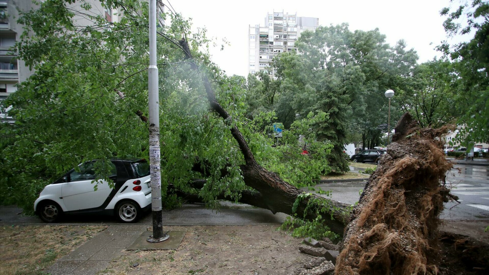 FOTO Oluja u Zagrebu čupala stabla i ostavila kaos! Pogledajte slike