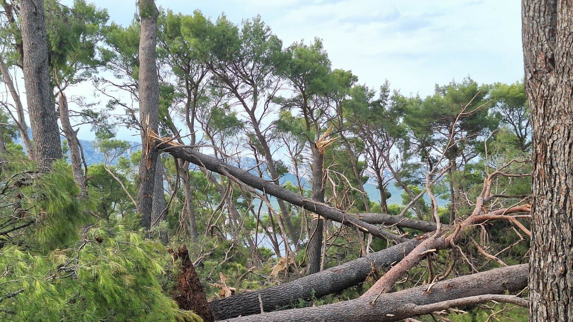 Pogledajte kako izgleda Marjan tjedan dana nakon razorne oluje