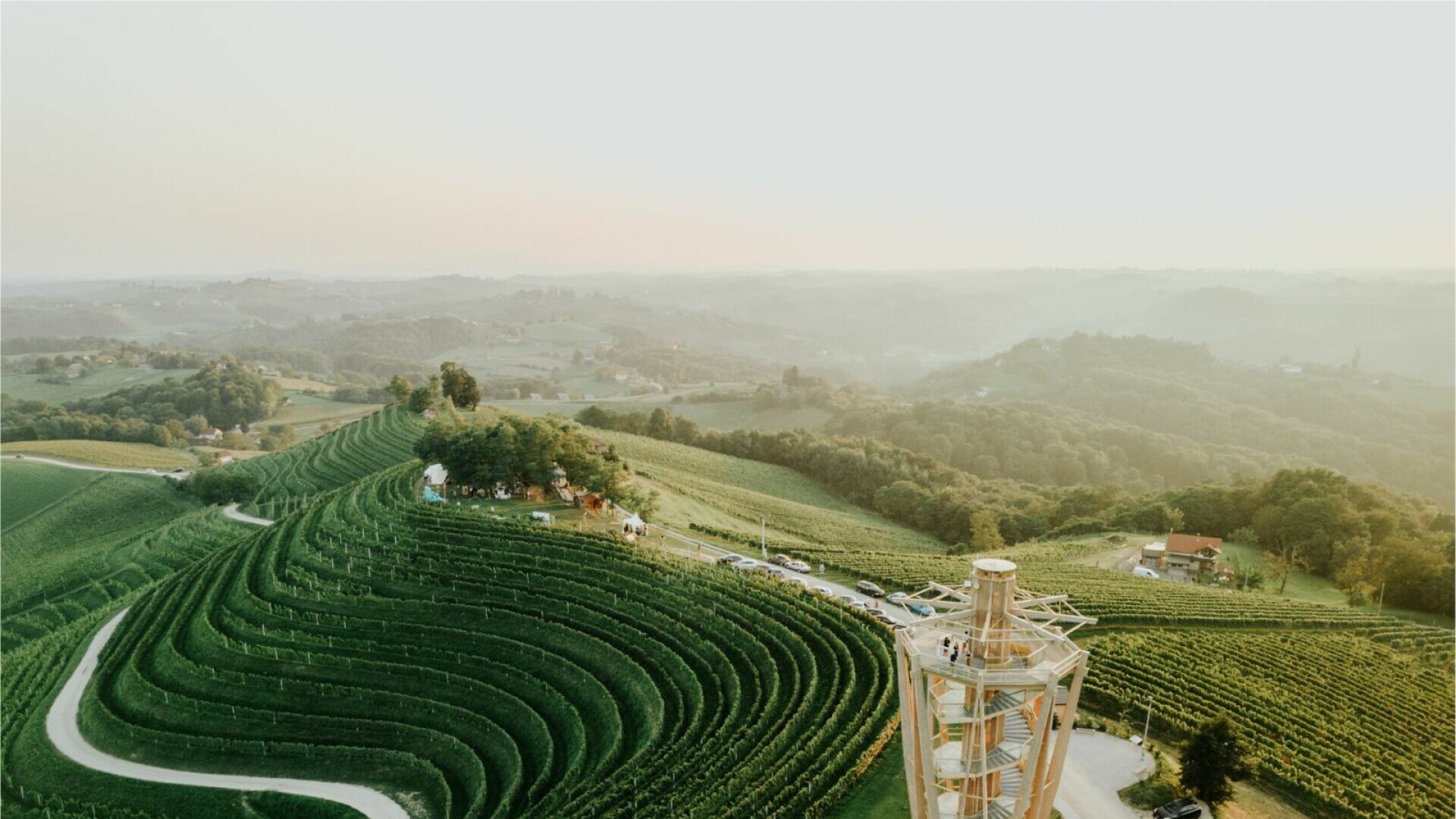 Jazz u vinogradu: Mjesto gdje se glazba, vino i priroda susreću u ...