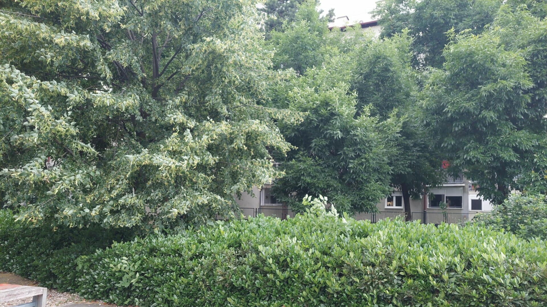 FOTO Zagrebački park iz noćne more! Djeca su se igrala, a oni se ...