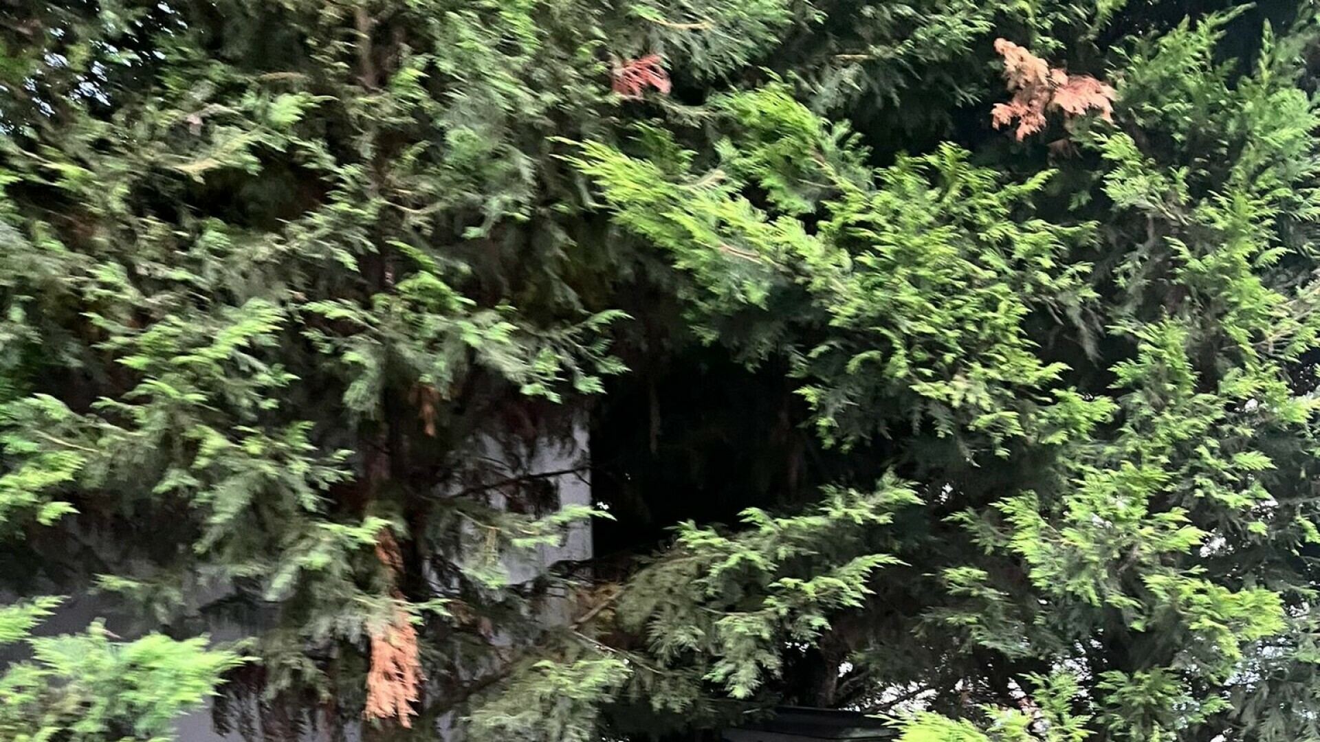 FOTO Zagrebački park iz noćne more! Djeca su se igrala, a oni se ...