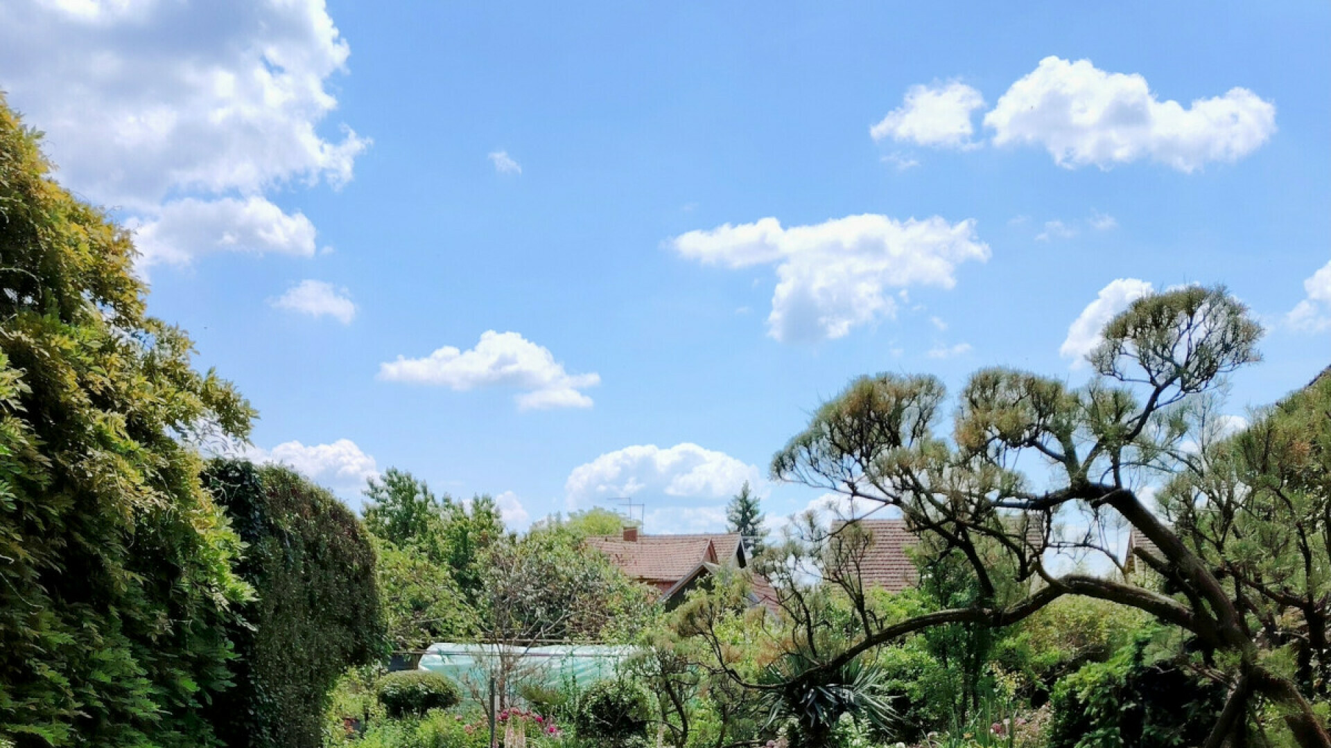 Vrt Branke iz Čepina izgleda poput najljepšeg raja, a rezultat je 35-godišnjeg rada