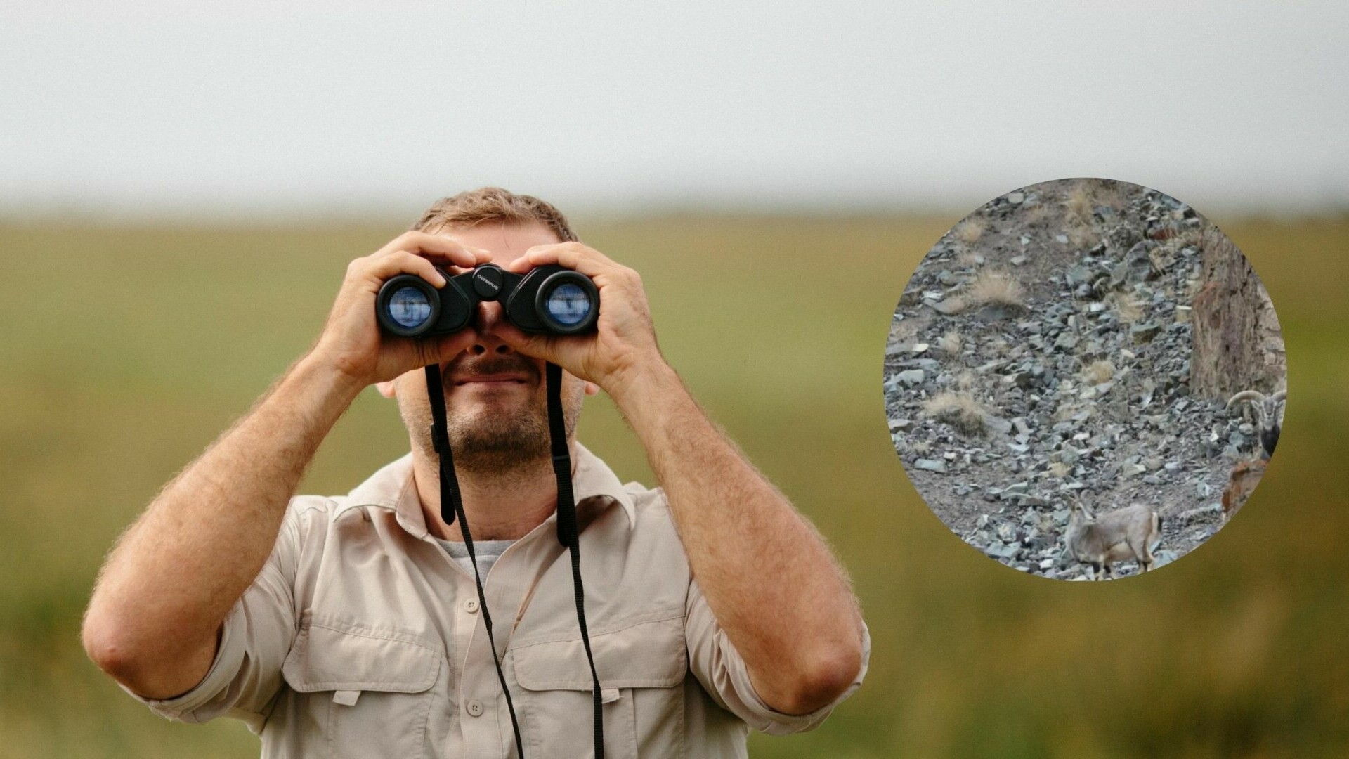 Mislite da dobro opažate svijet oko sebe? Ovo je izazov za vas