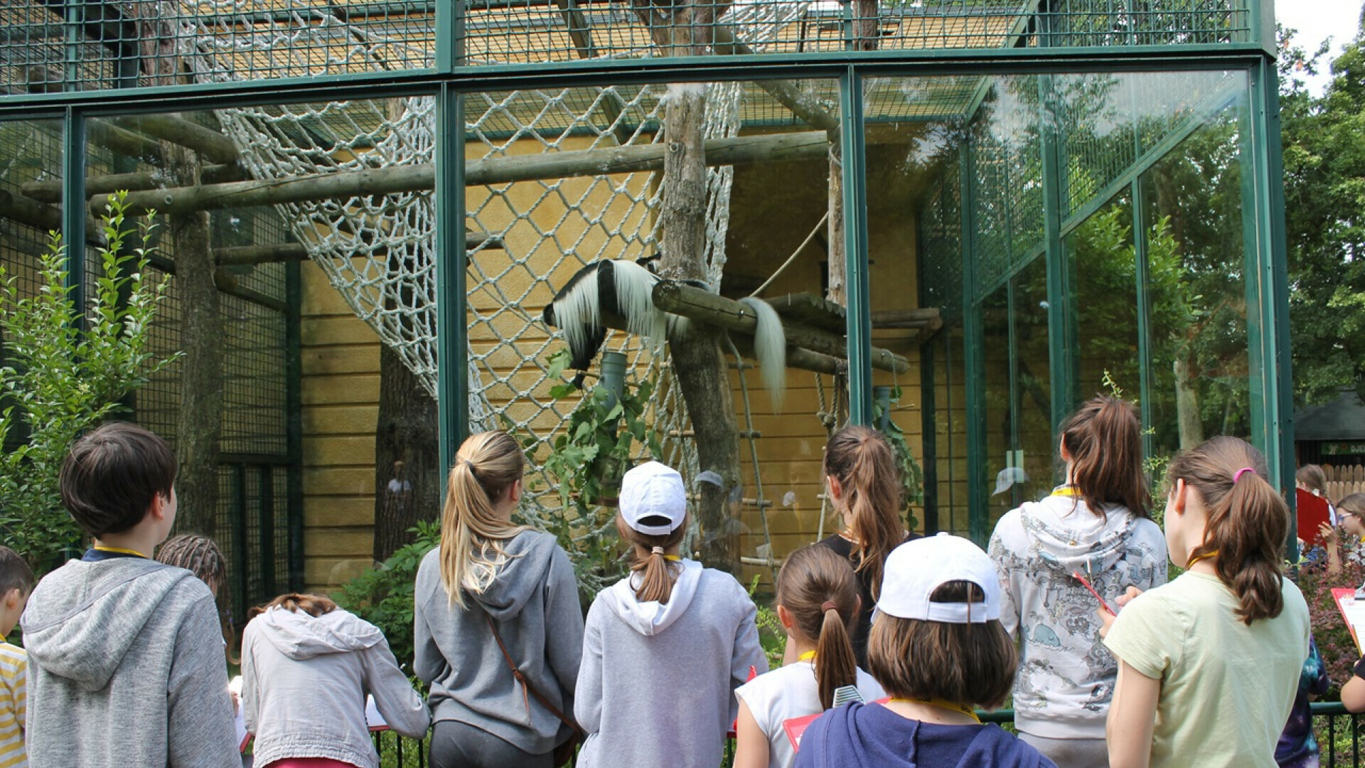 U zagrebačkom zoo vrtu počinje novo Divlje ljeto, program za školarce ...