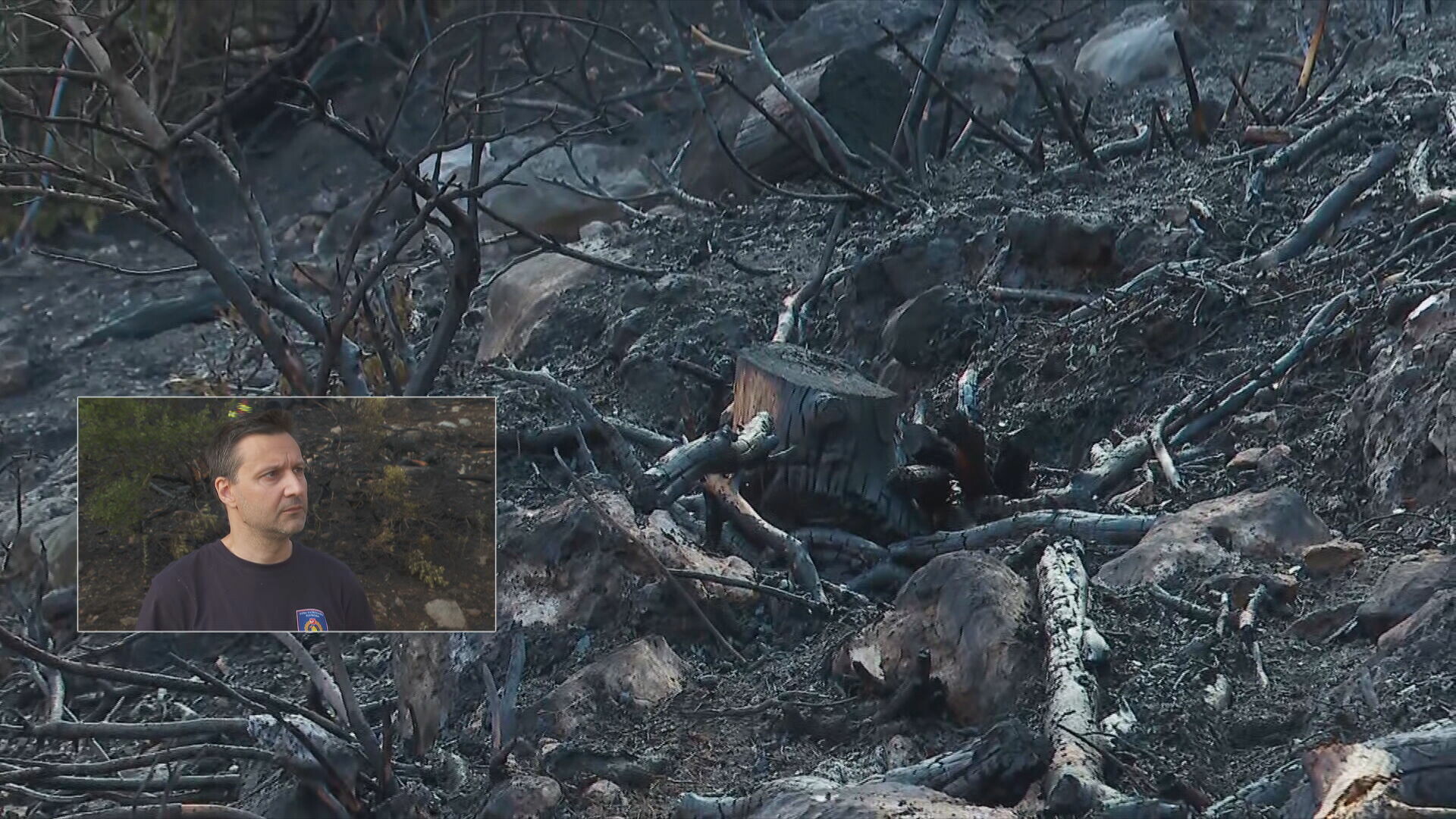 Sedam požara buknulo na makarskoj rivijeri! Policija sumnja na ...