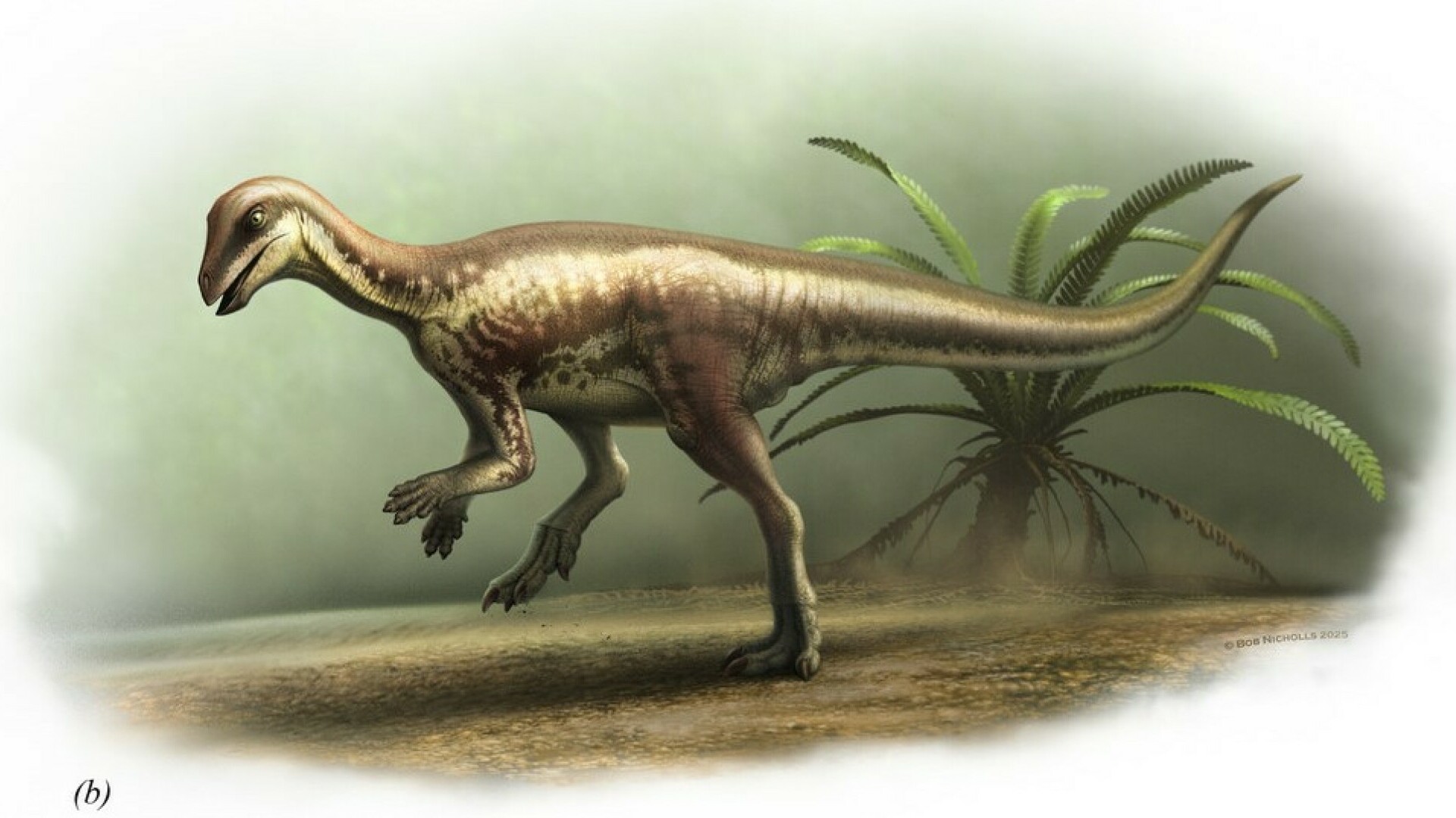Znanstvenici otkrili potpuno novu vrstu dinosaura: Velik poput psa ...