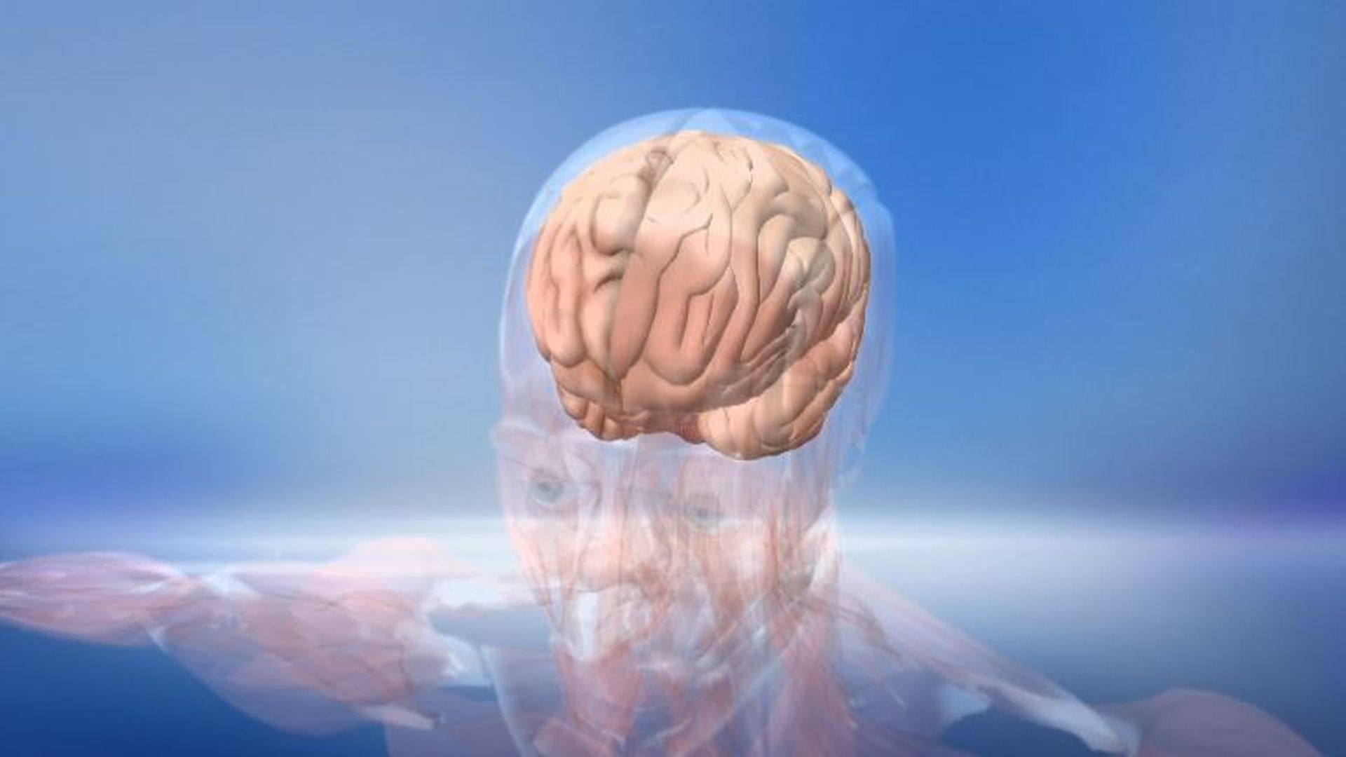 Počeo Tjedan mozga: ''Ljudi ne razmišljaju da su psihičke i neurološke bolesti - bolesti mozga''