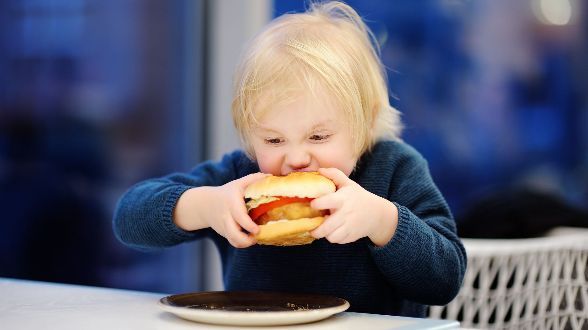 60 posto Hrvata ima problema s težinom: "Debeli ljudi puno su skuplji ...