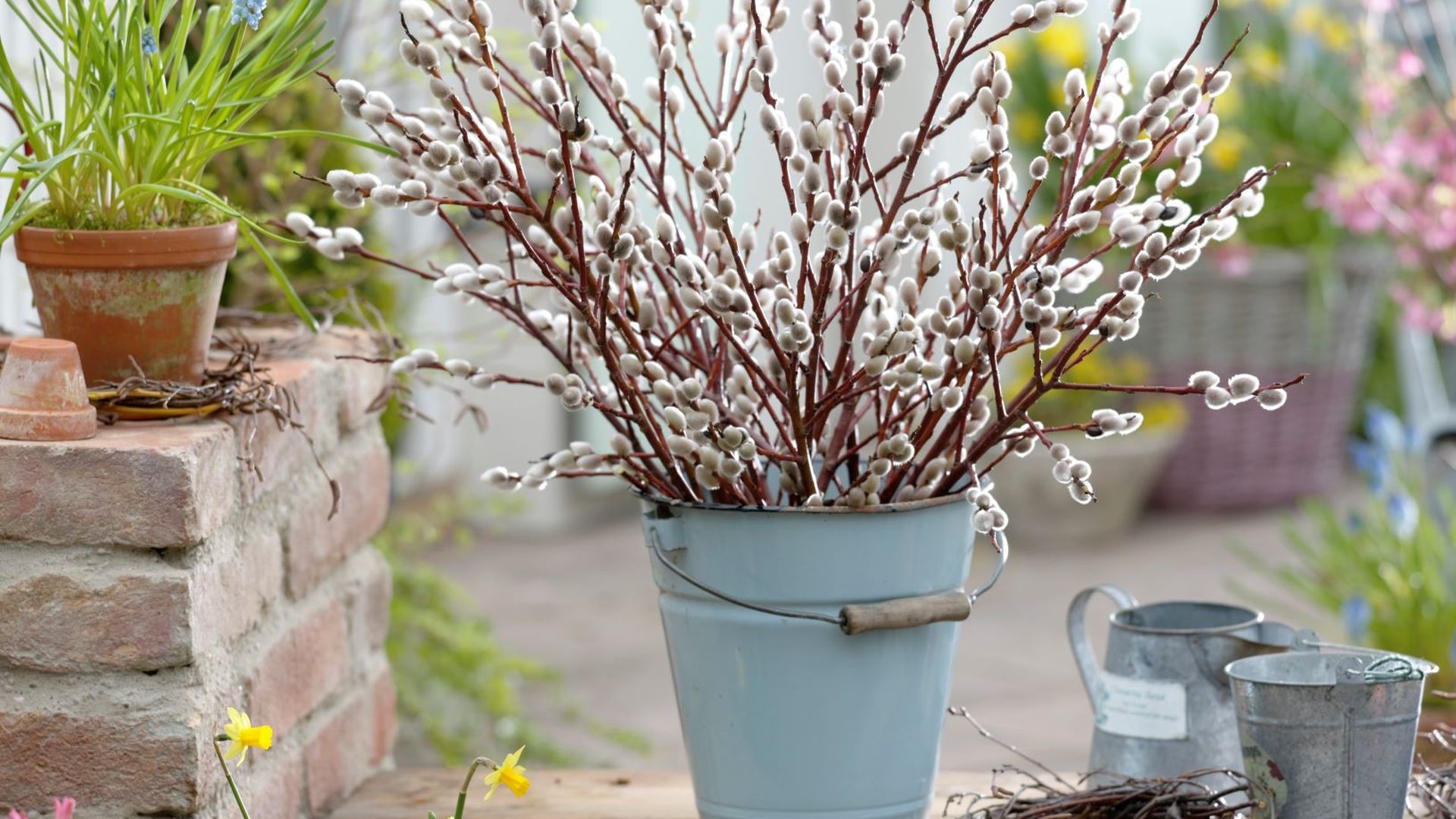 Najmekaniji vjesnik proljeća: Pet ideja kako cica mace uklopiti u svoj dom