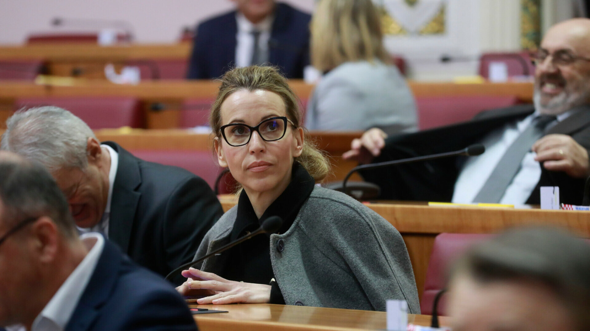 Naša saborska zastupnica privukla pozornost onim što je nosila u ruci ...