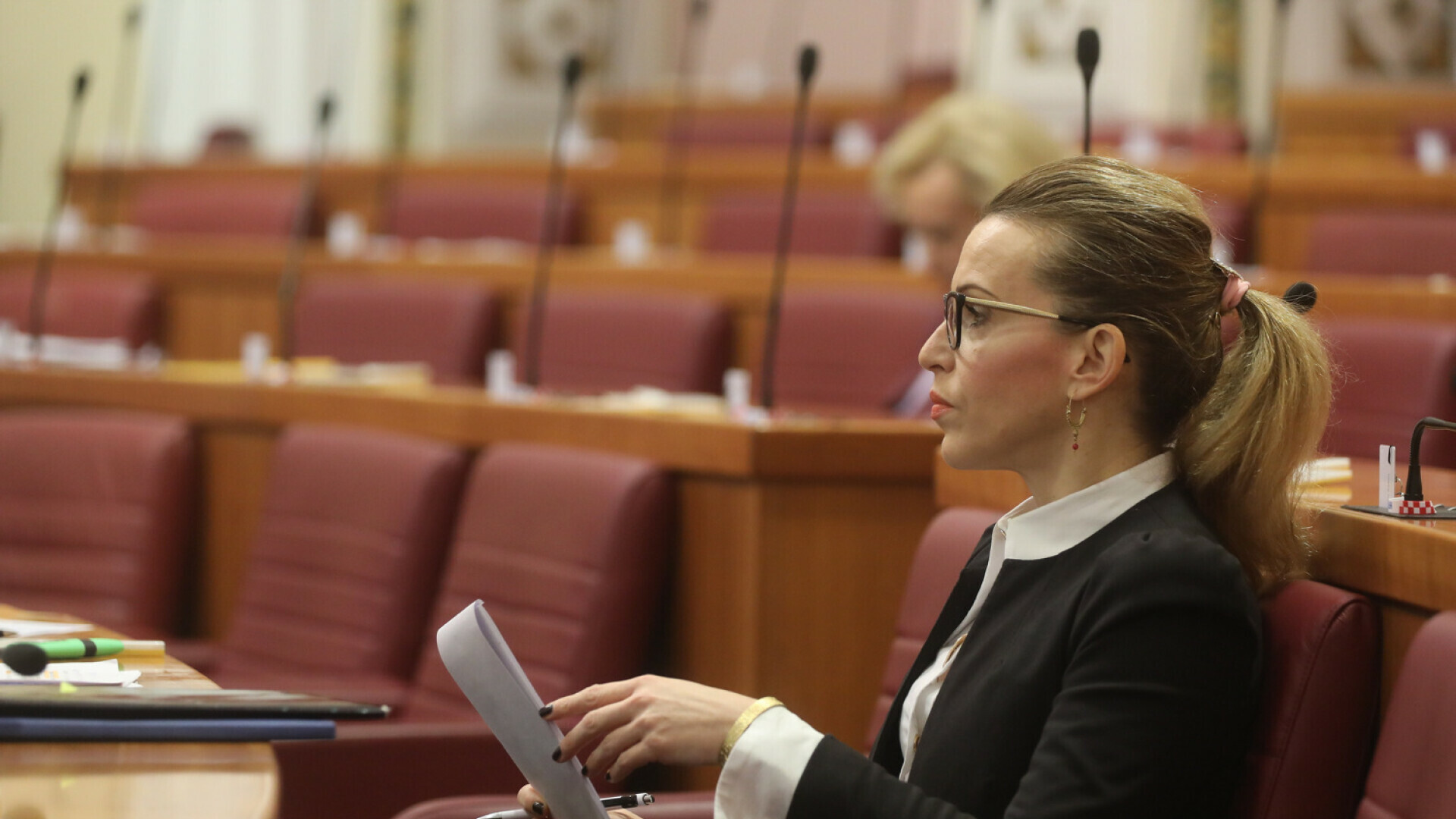 Naša saborska zastupnica privukla pozornost onim što je nosila u ruci ...