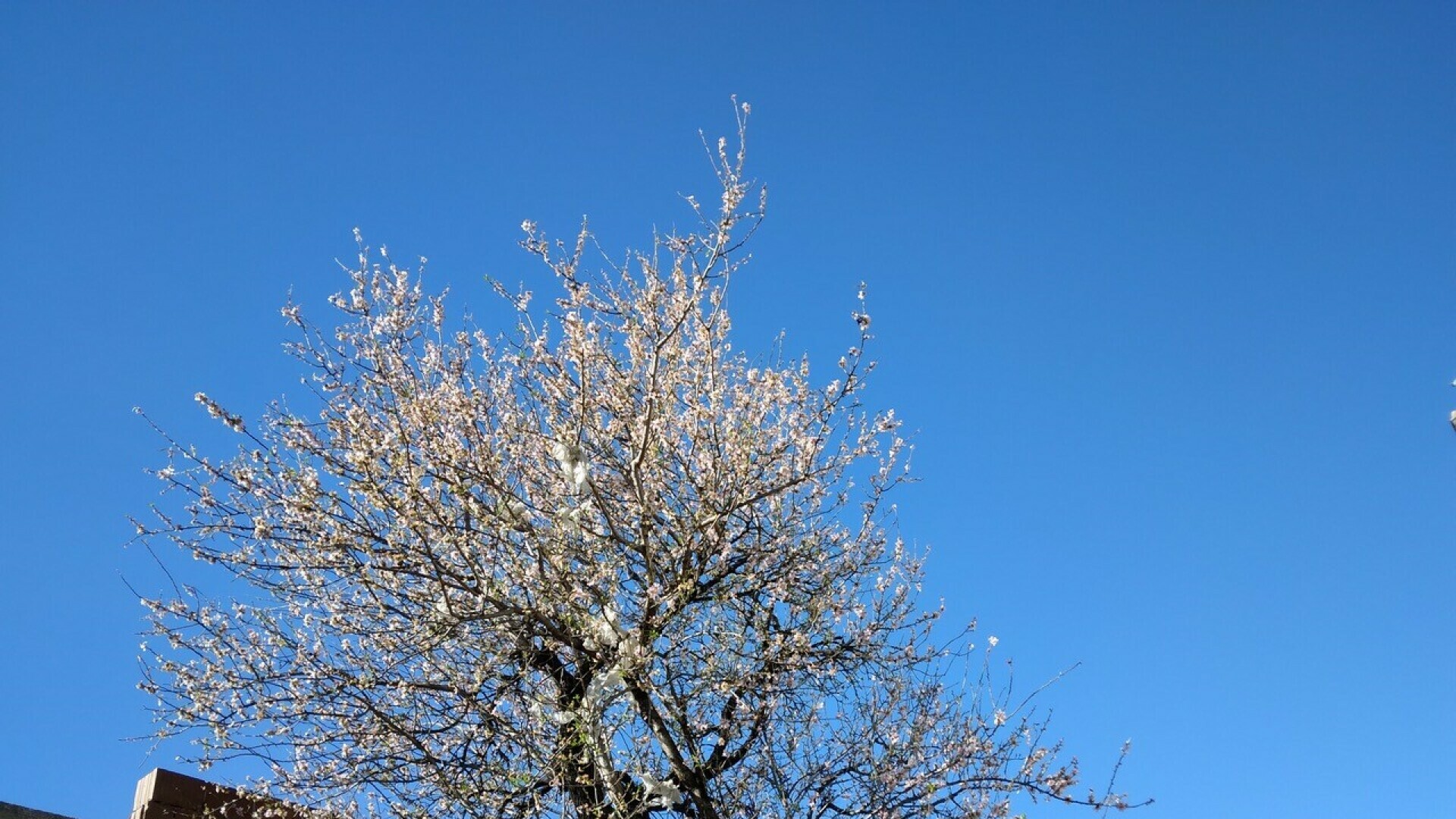 Priđi bliže: Pogledajte neočekivane vjesnike proljeća koje je snimio ...