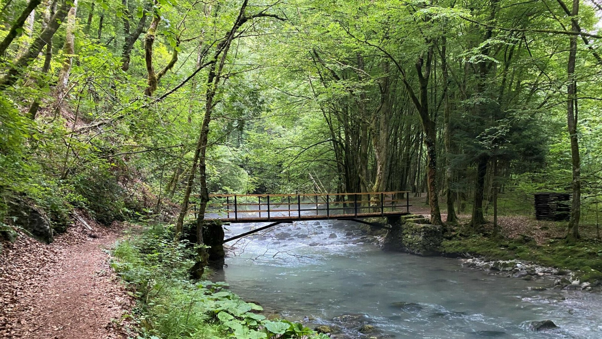 Camino Gorski kotar: Sasvim posebna šetnja duga 282 kilometra