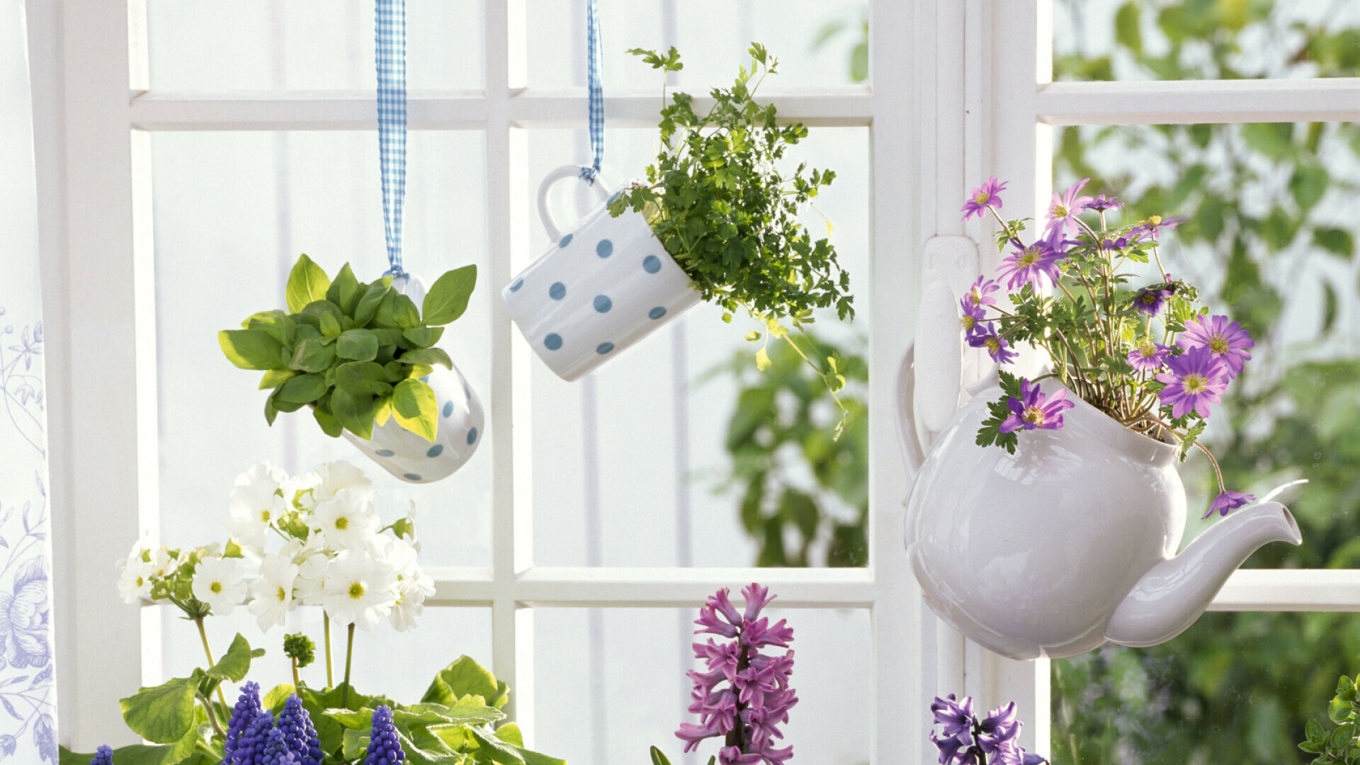 Prozori ukrašeni cvijećem koje visi mogli bi vam postati omiljena stvar ...