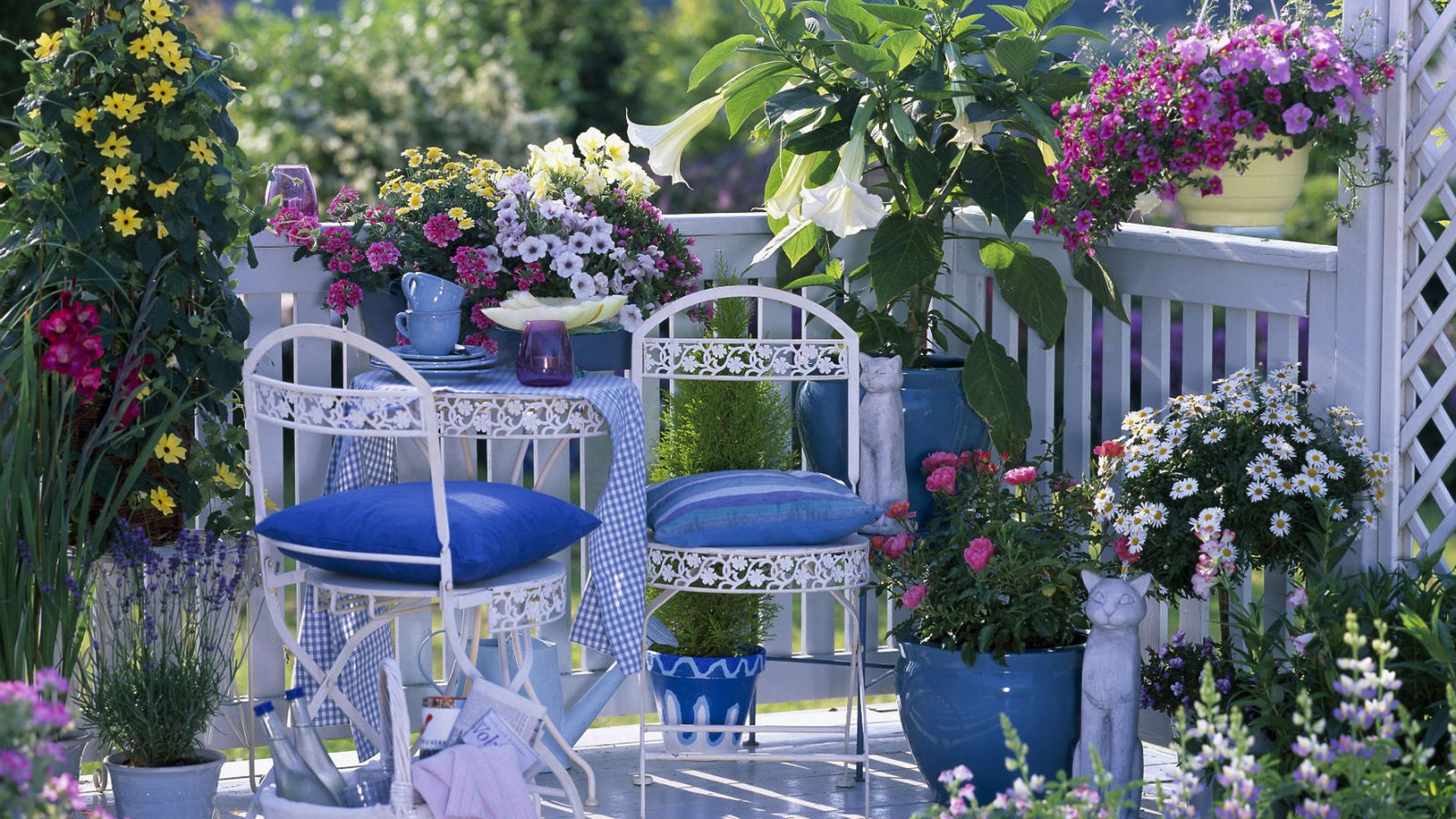 Izaberite cvijeće: 5 balkonskih ljepotica koje (ne)vole sunce